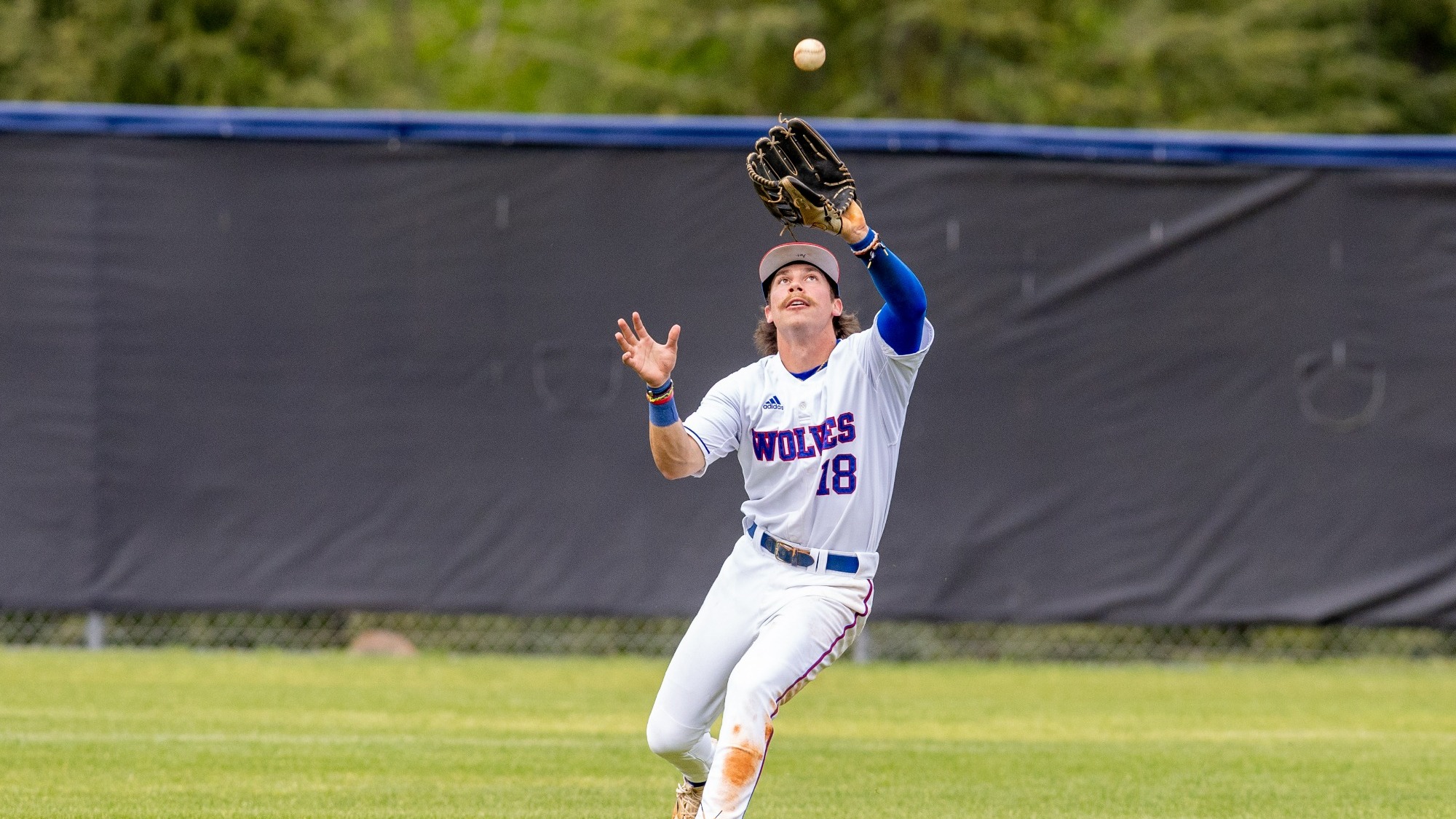 Anthony Calabro - 2023 - Baseball - UWG Wolves | Athletic Programs ...