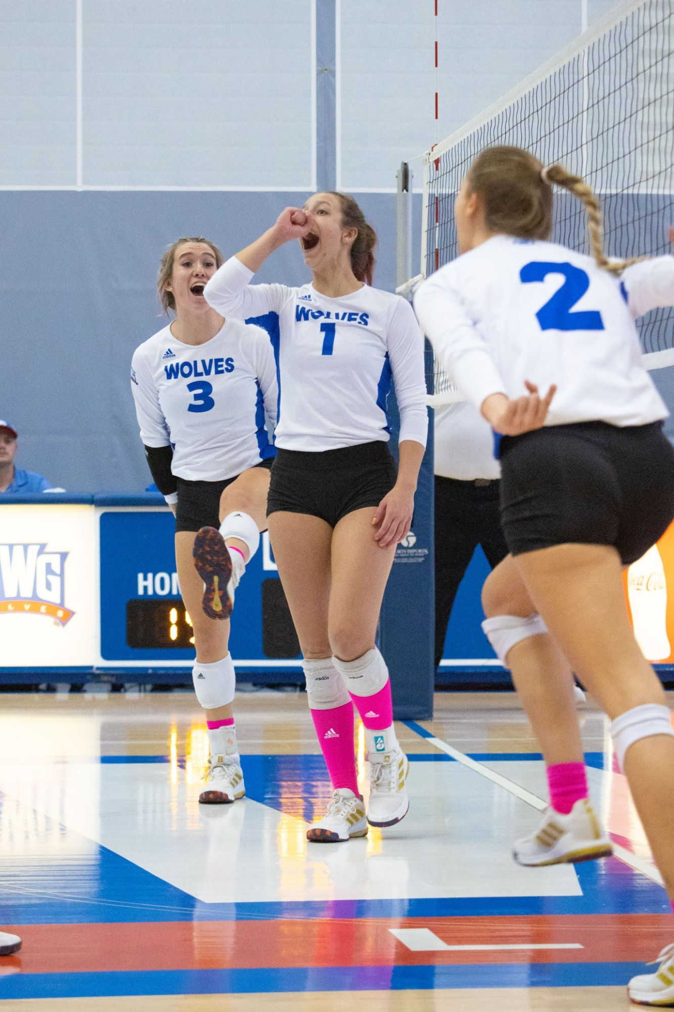 Isabella Steffel - 2022 - Women's Volleyball - UWG Wolves | Athletic ...