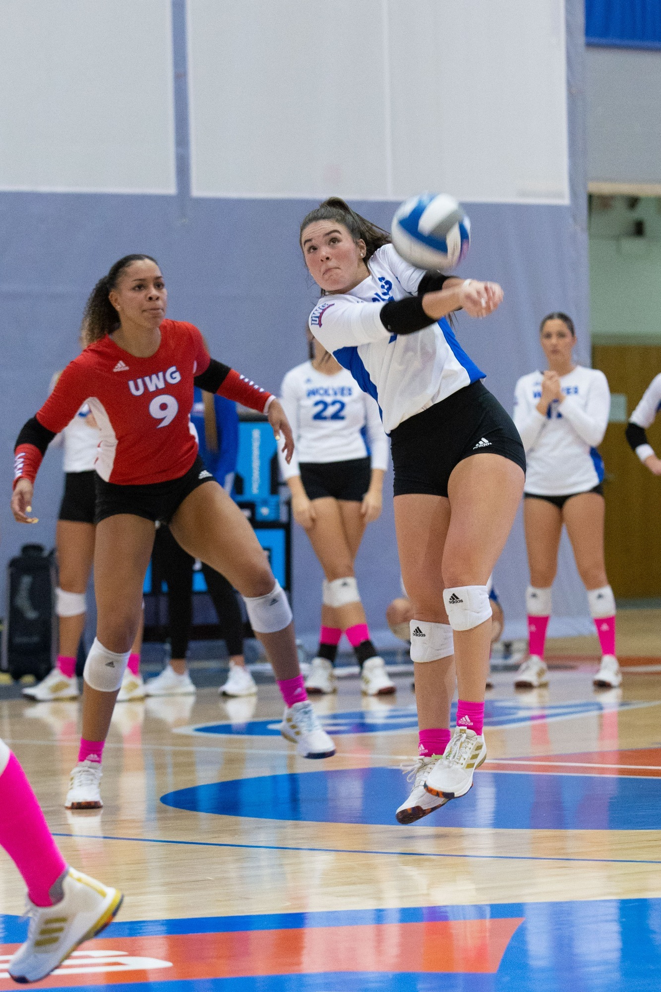 Kelli Kaiser - 2023 - Women's Volleyball - UWG Wolves | Athletic ...
