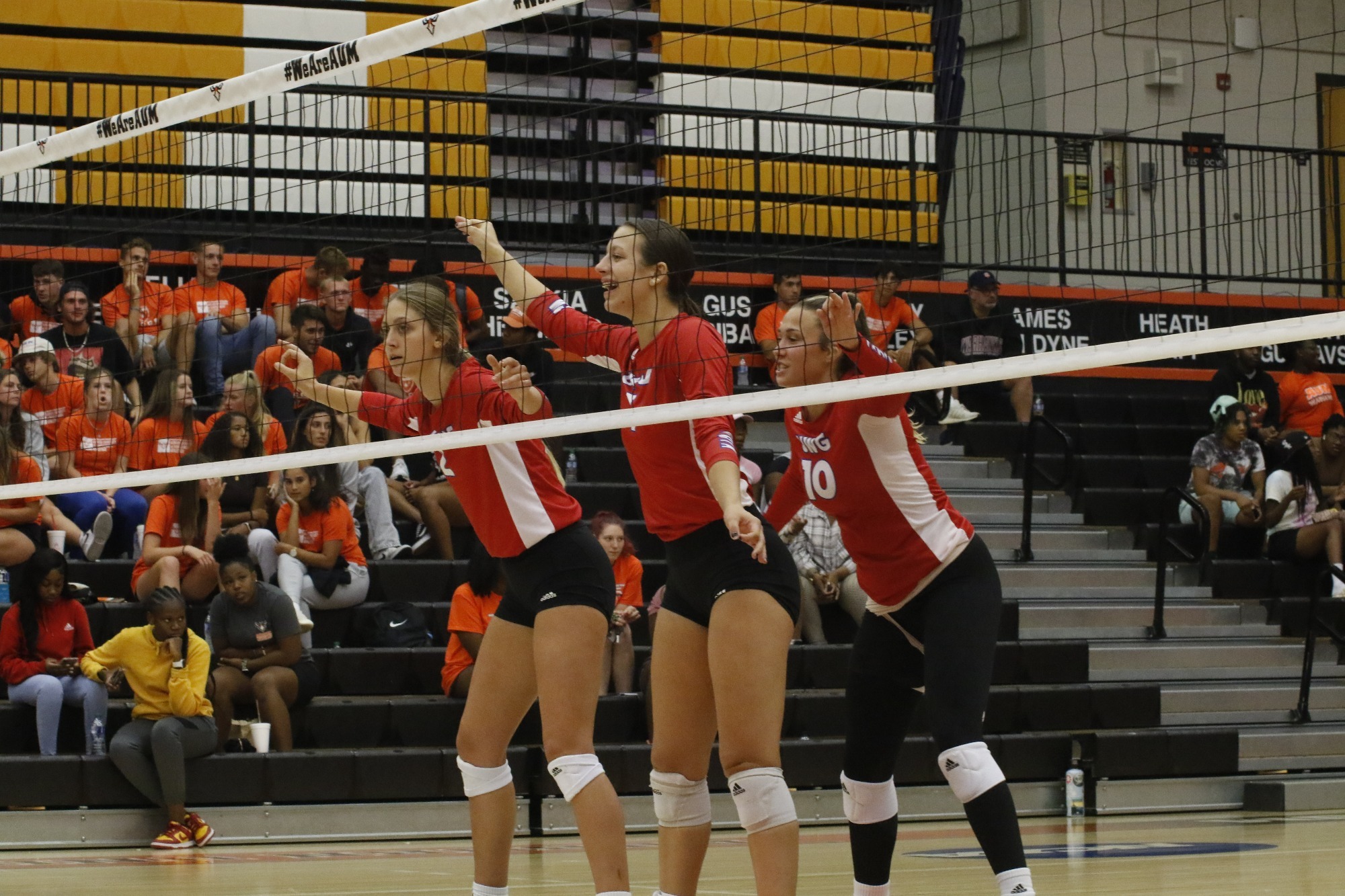 Isabella Steffel - 2022 - Women's Volleyball - UWG Wolves | Athletic ...