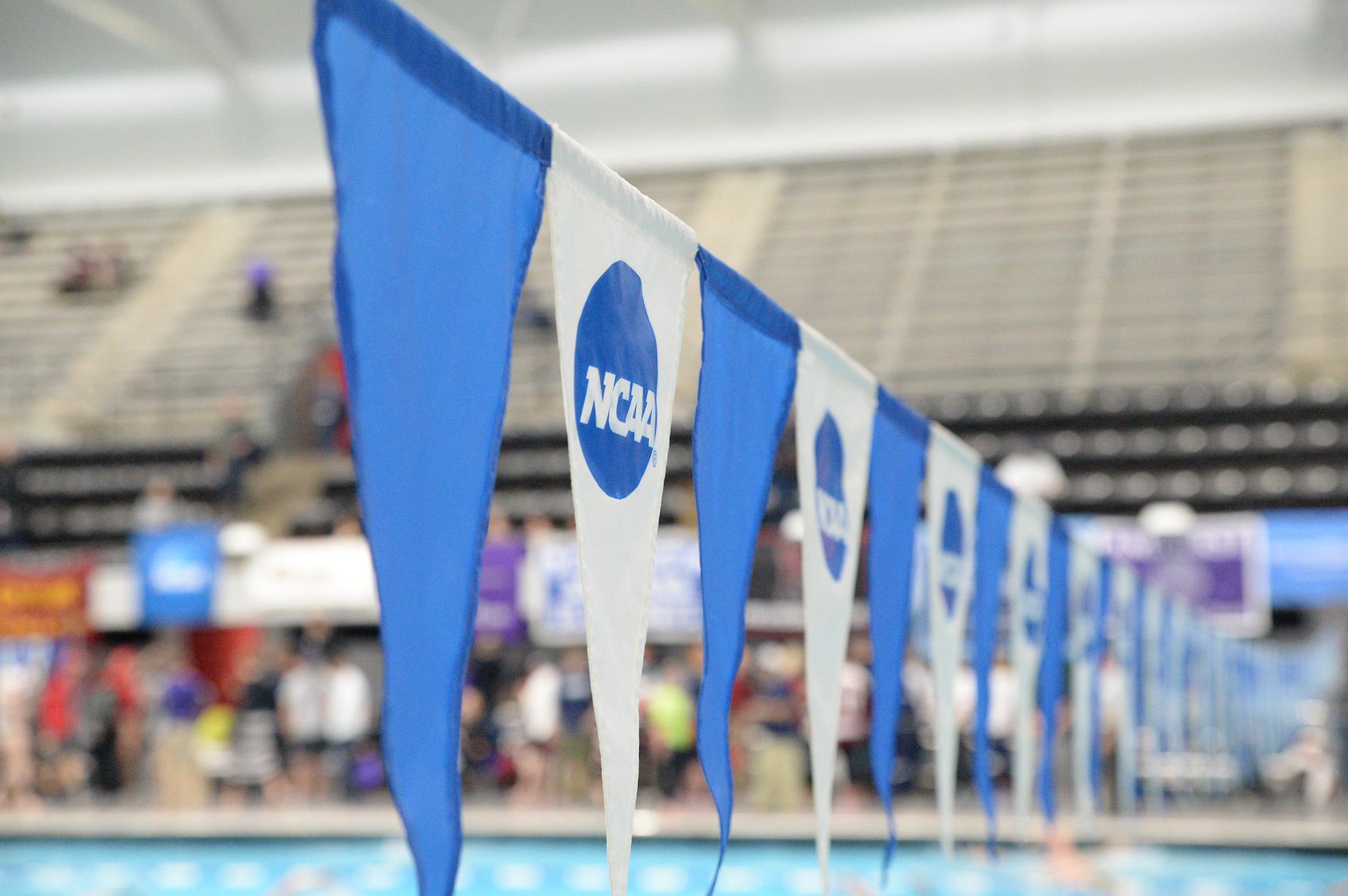 Swimming & Diving Teams Open Season - University of Wisconsin La Crosse ...
