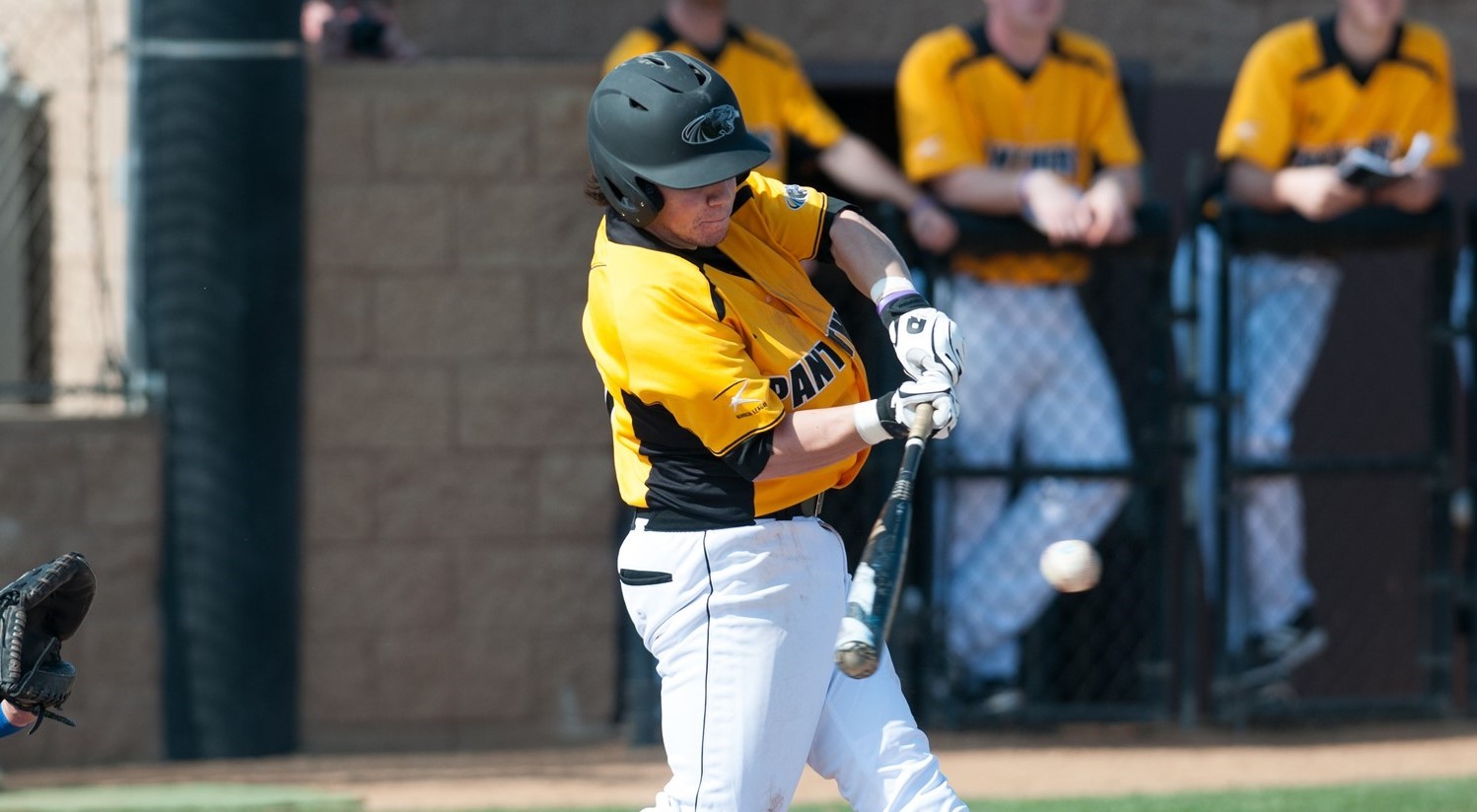 Mike Porcaro - 2015 - Baseball - Milwaukee Athletics