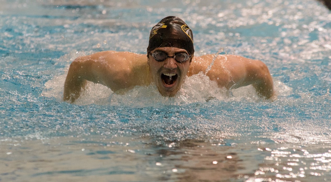 Max Ward - 2016-17 - Men's Swimming & Diving - Milwaukee Athletics