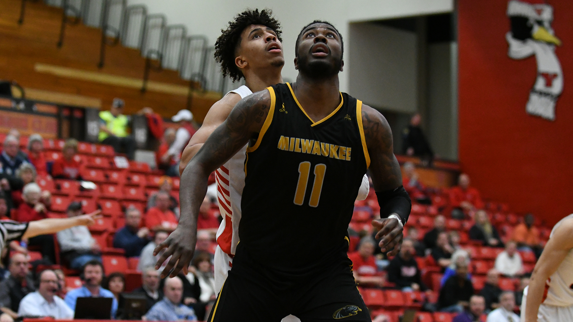 Vance Johnson - 2018-19 - Men's Basketball - Milwaukee Athletics