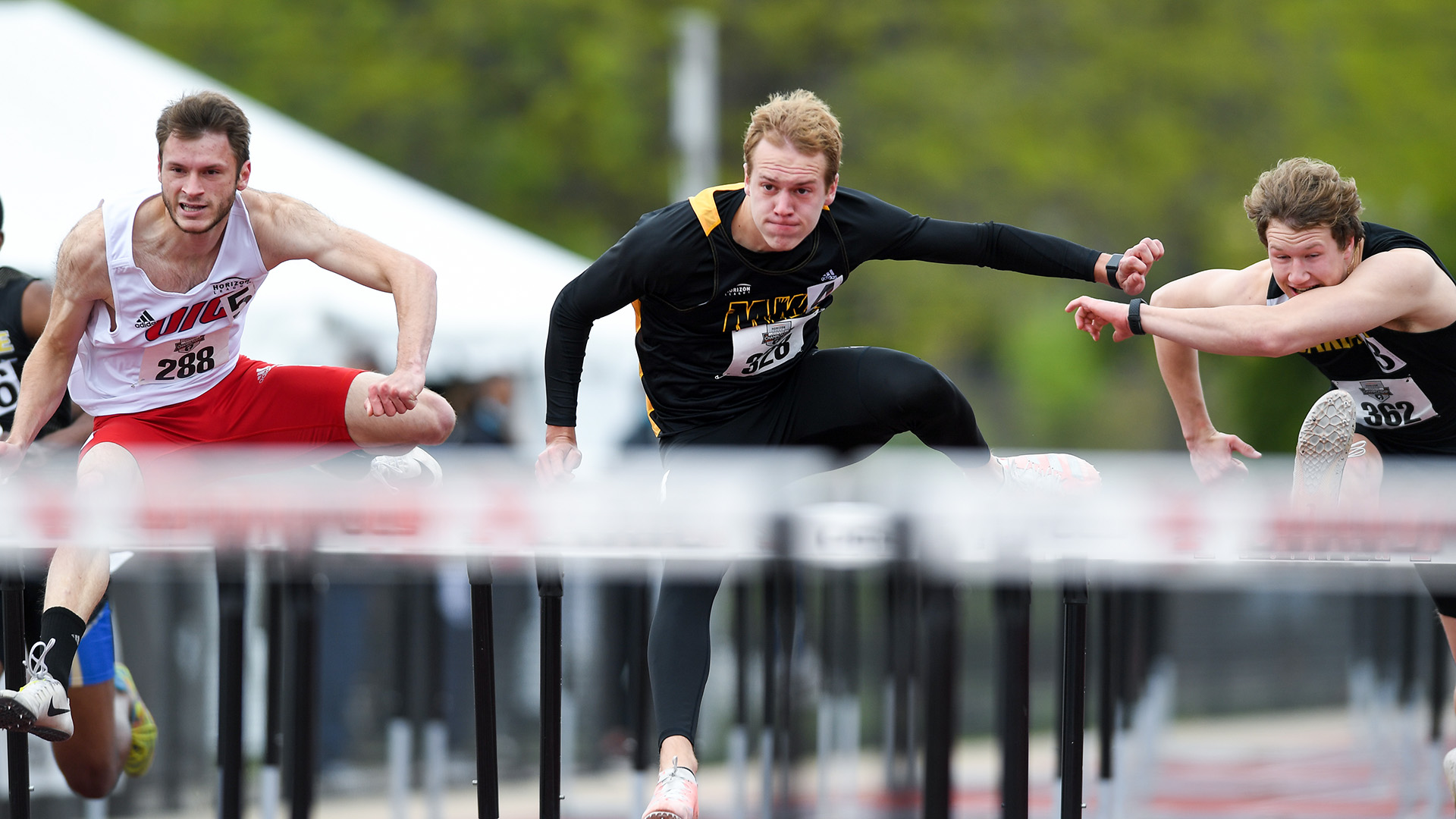 Dane Nelson - 2024 - Men's Track & Field - Milwaukee Athletics