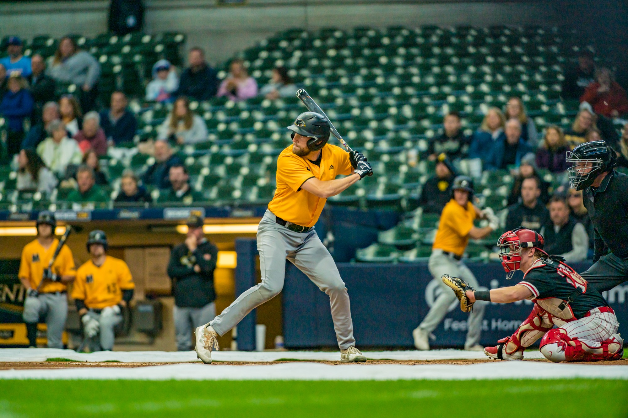 Ty Olejnik - 2023 - Baseball - Milwaukee Athletics