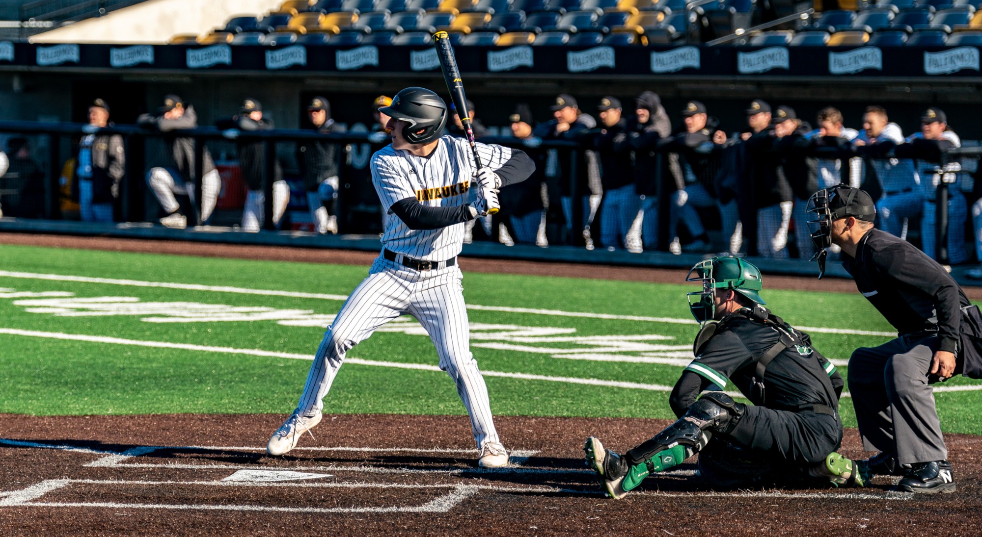 Jake Novak - 2023 - Baseball - Milwaukee Athletics