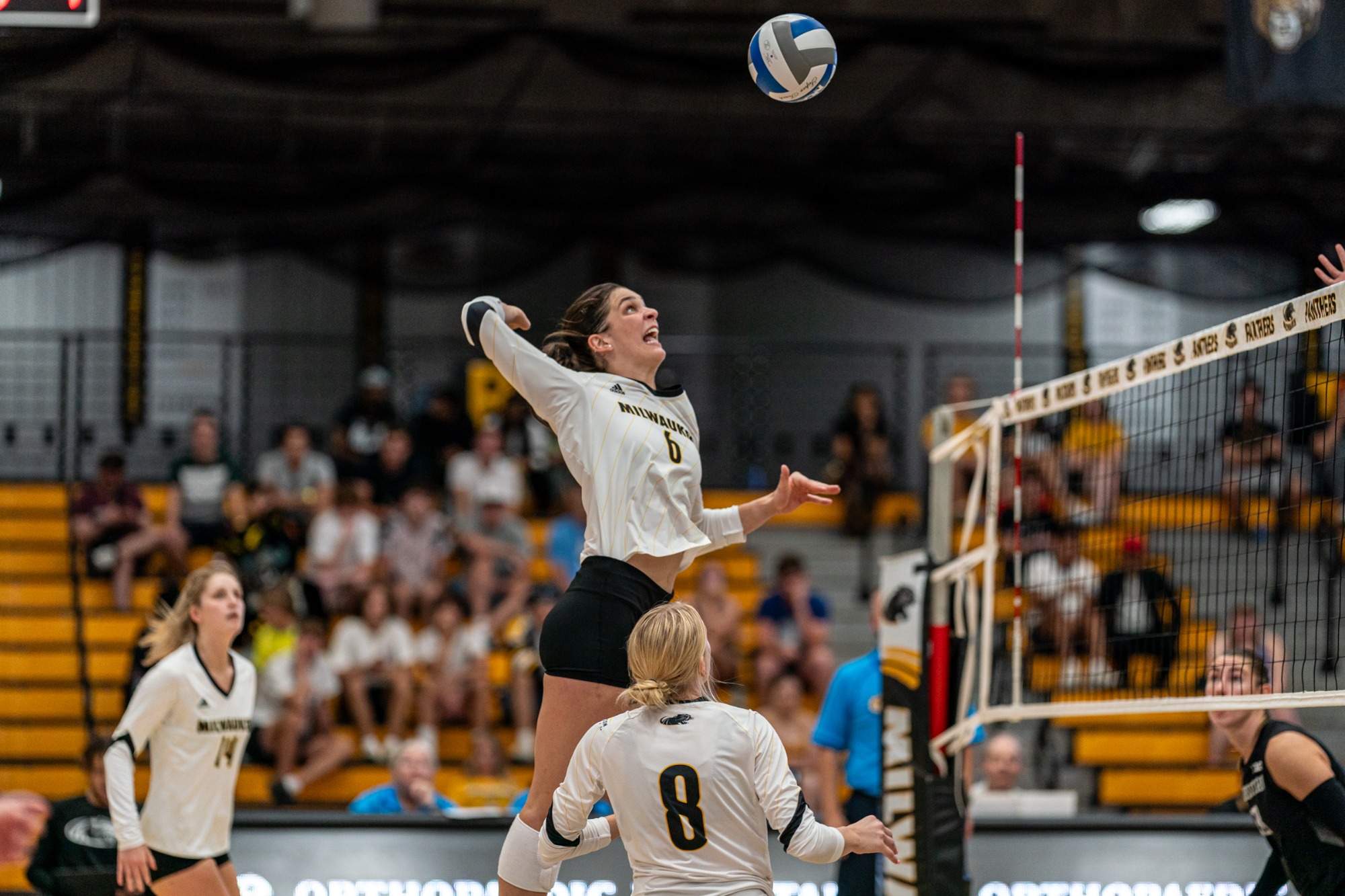 Ari Miller - 2023 - Women's Volleyball - Milwaukee Athletics