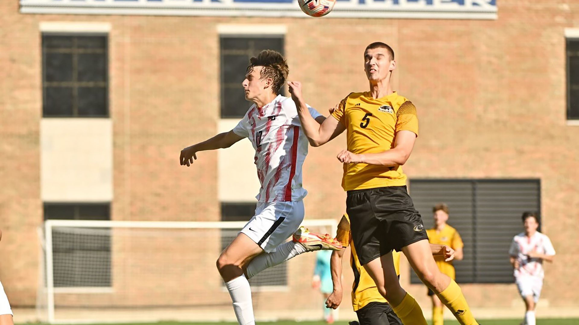 Matthew Toolan - 2024 - Men's Soccer - Milwaukee Athletics