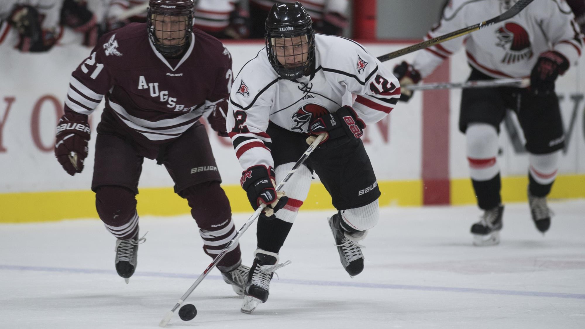 Hunter Schneider - 2016-17 - Men's Ice Hockey - University of Wisconsin ...