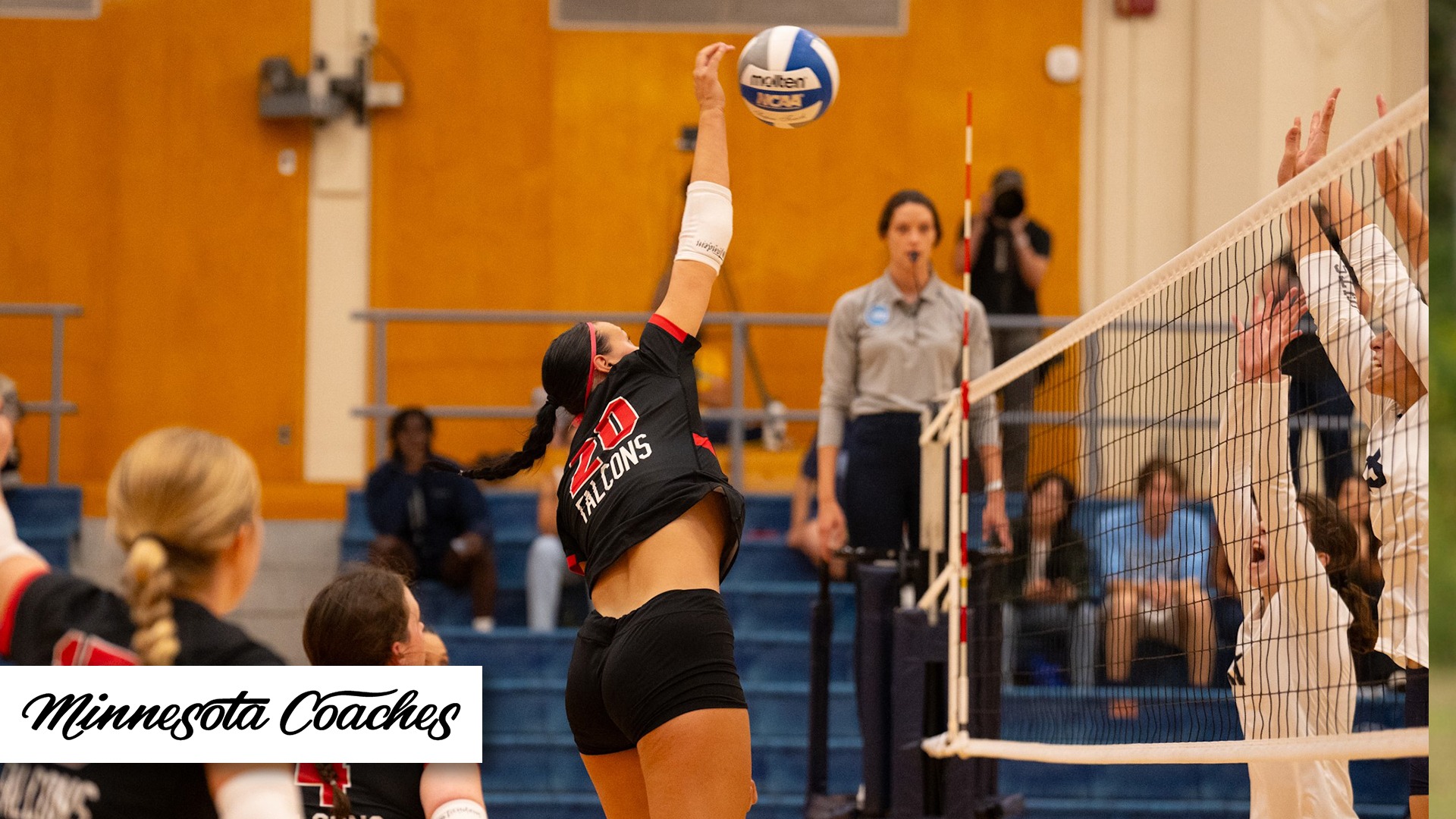 Falcons earn road sweep at Carleton - University of Wisconsin River ...