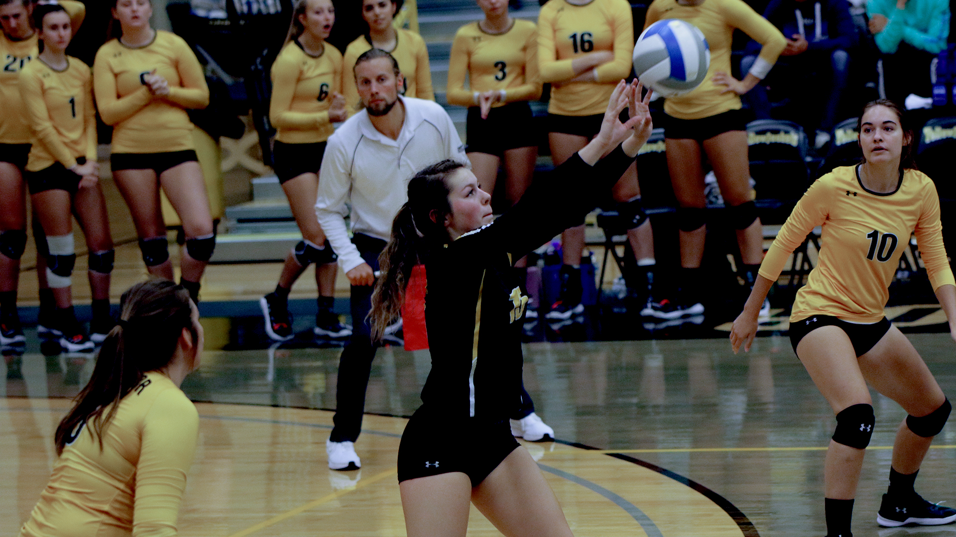 Hailey Atwood - Volleyball - University of Wisconsin-Superior Athletics