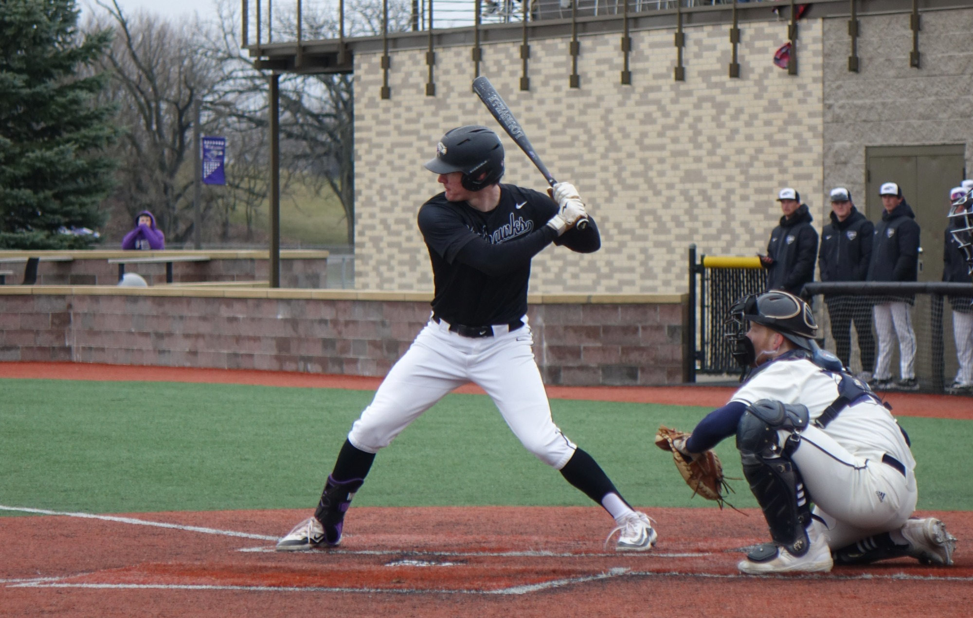 Thies with Grand Slam in Warhawks win over Carthage - University of ...
