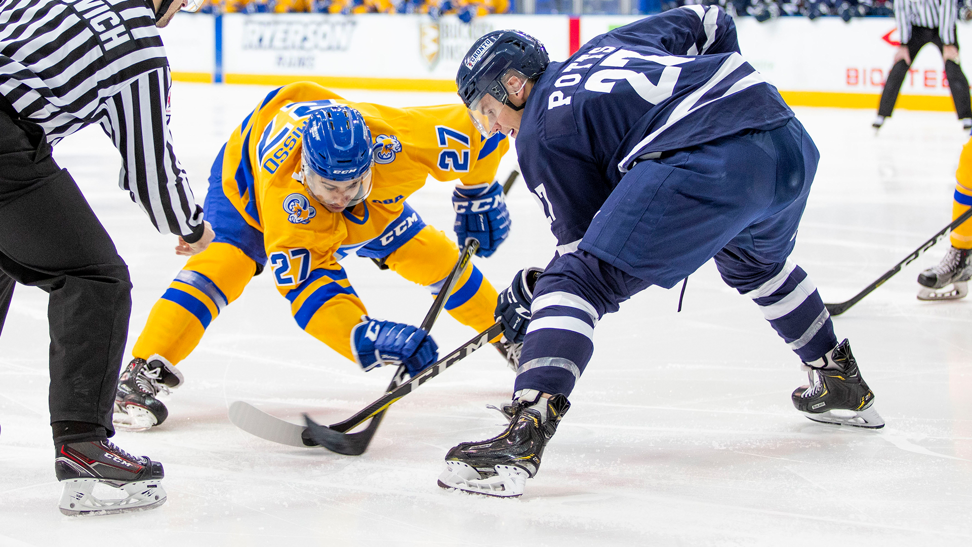 Kyle Potts - Men's Ice Hockey - University of Toronto Athletics