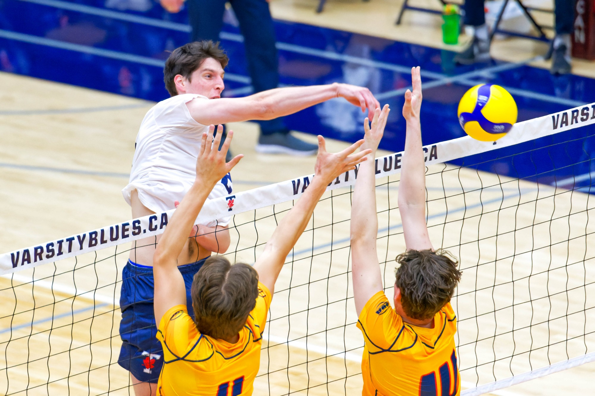 Hayden Cavender - Men's Volleyball - University of Toronto Athletics