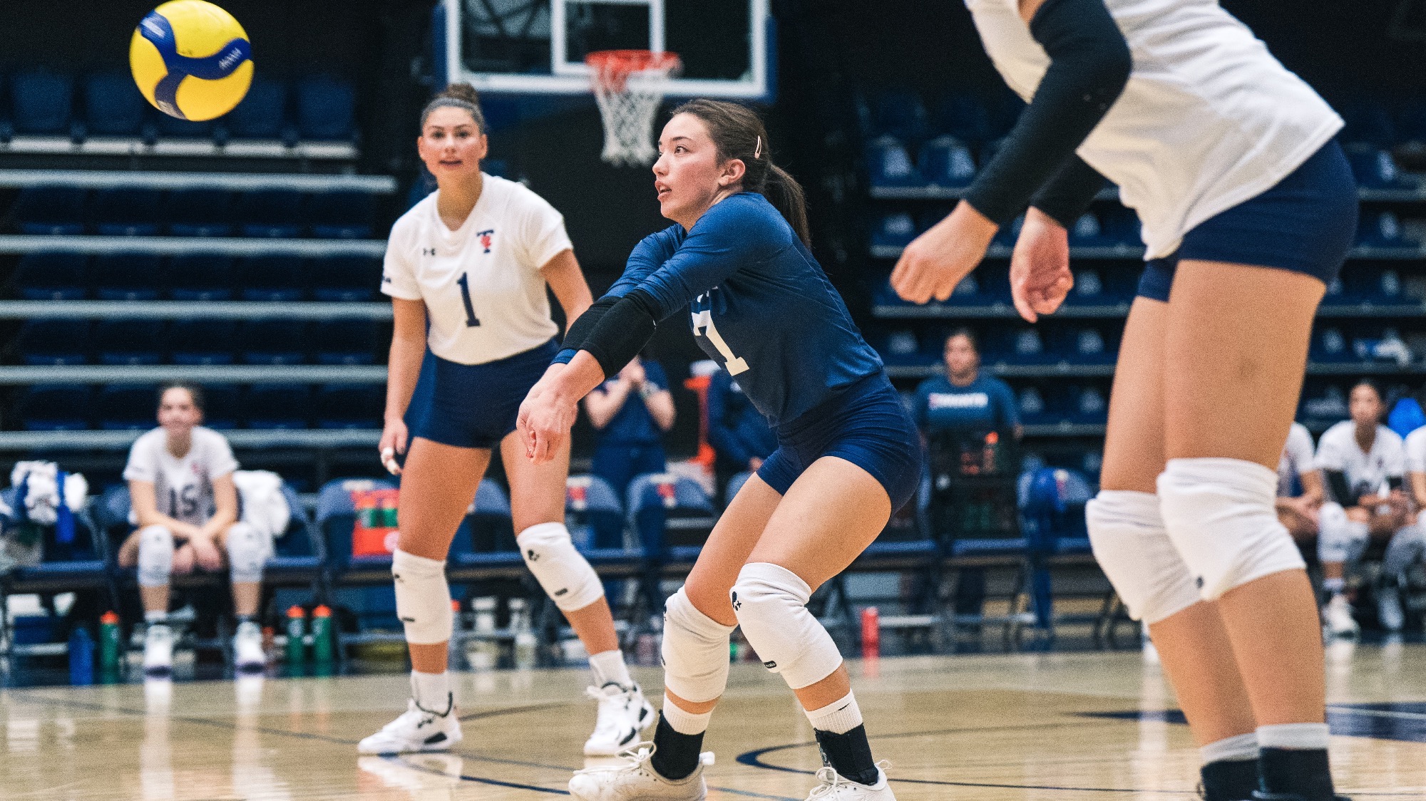 BLUES FALL TO TMU IN PRESEASON MATCH - University of Toronto Athletics