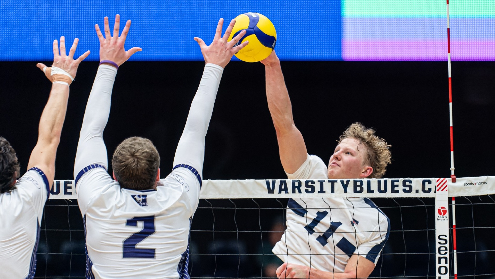 BLUES FALL TO MUSTANGS IN REMATCH - University of Toronto Athletics