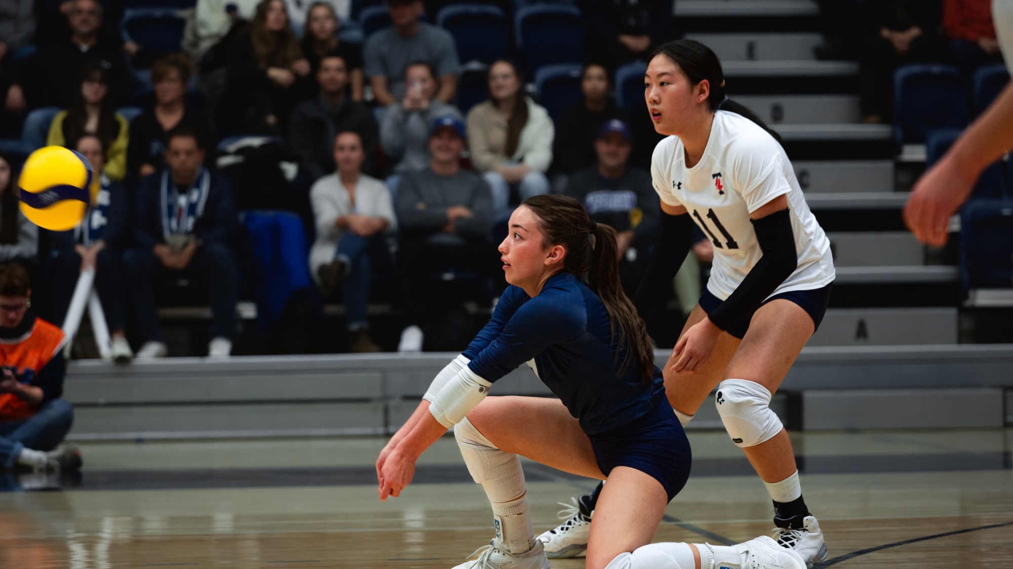 BLUES SWEEP THUNDERWOLVES IN WEEKEND REMATCH - University of Toronto ...