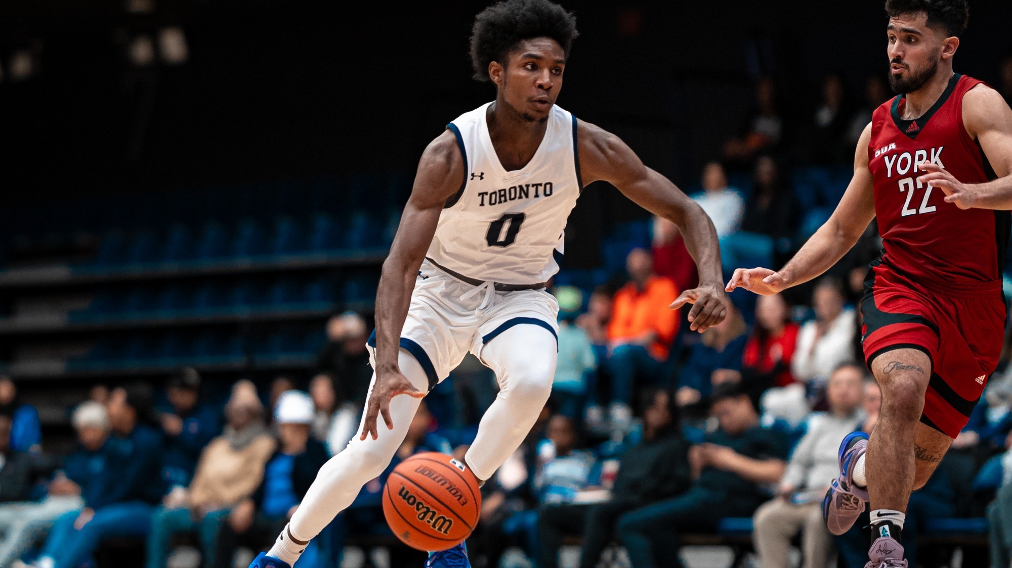 Dane Quest - Men's Basketball - University of Toronto Athletics