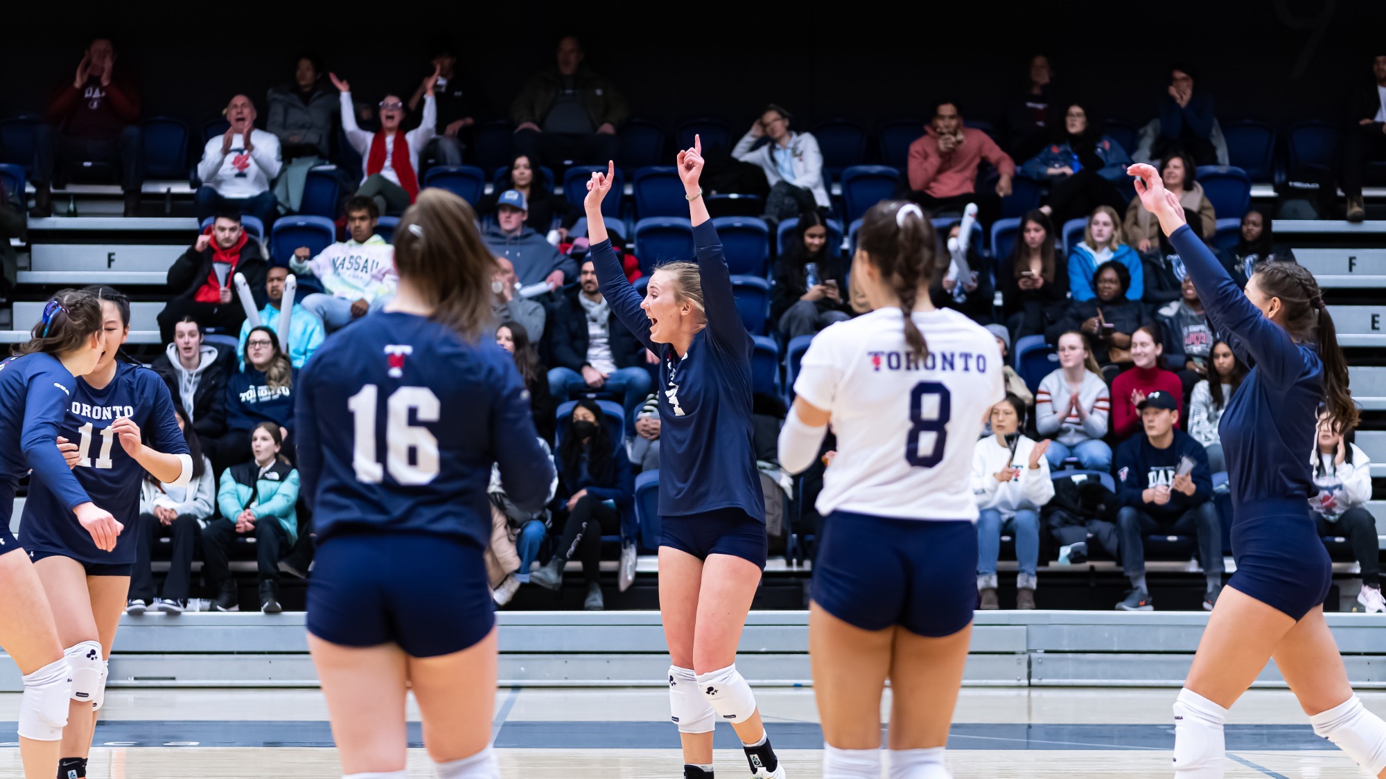 Jasmine Safar - Women's Volleyball - University of Toronto Athletics