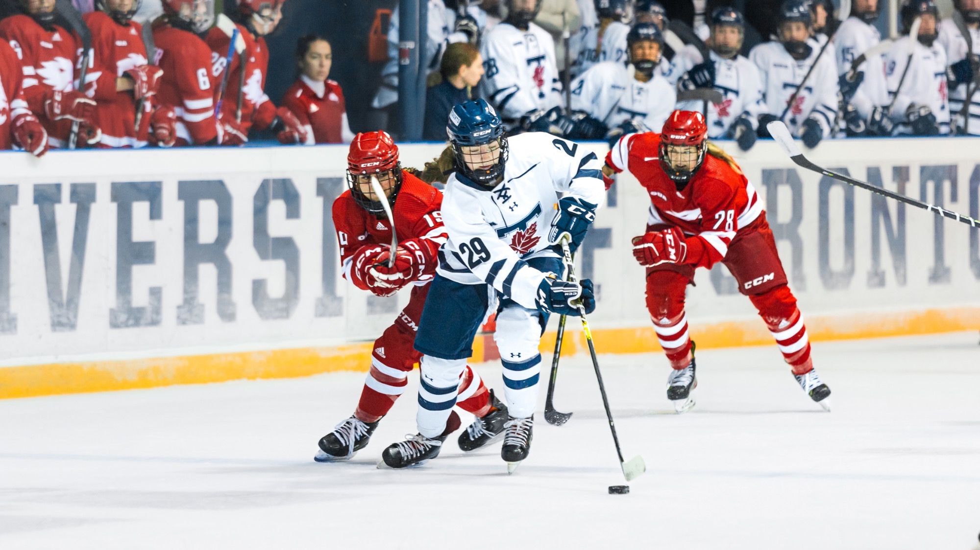 BLUES OFFENCE SHINES IN EXHIBITION WIN OVER YORK - University of ...