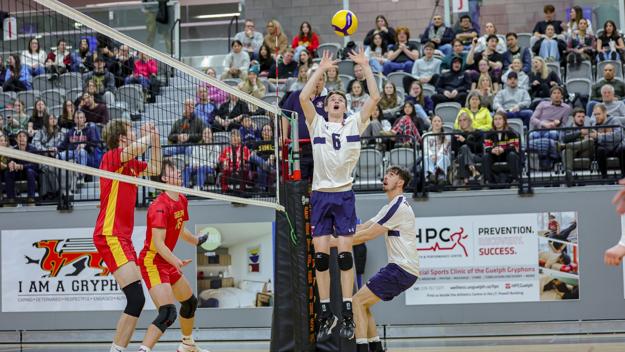 TORONTO FALLS TO NO. 9 GUELPH - University of Toronto Athletics