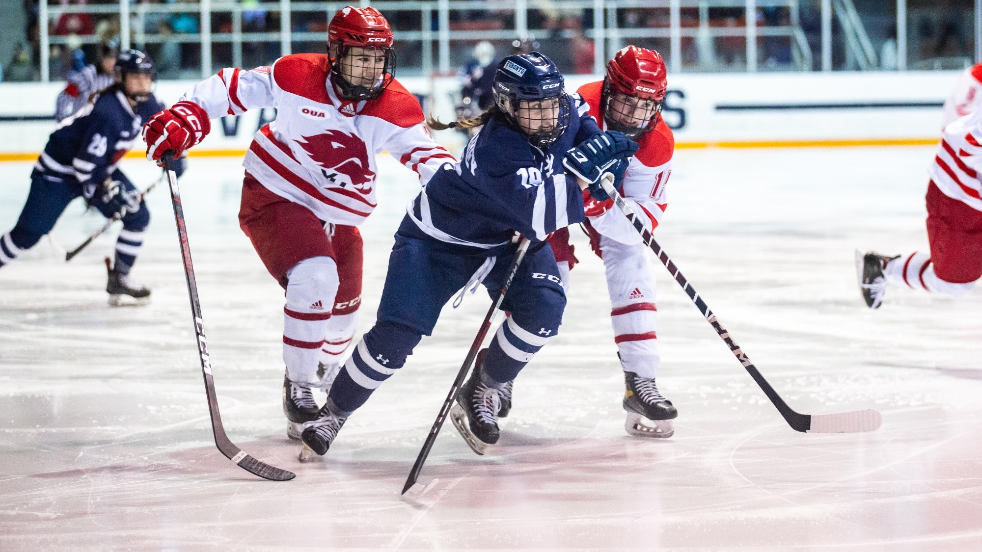 NO. 7 BLUES FALL TO LIONS AT VARSITY ARENA - University of Toronto ...