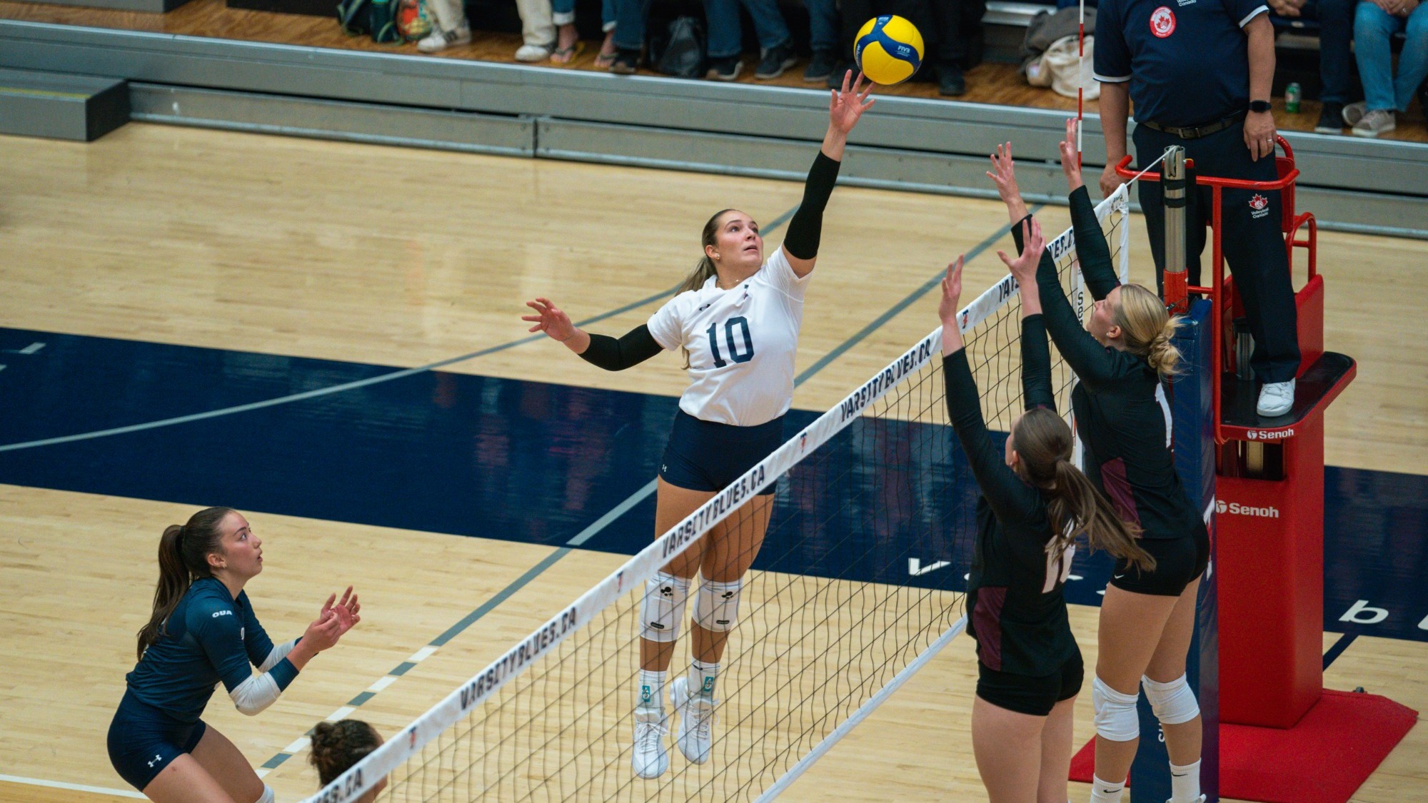 2024-25 SEASON PREVIEW: VARSITY BLUES WOMEN'S VOLLEYBALL - University ...