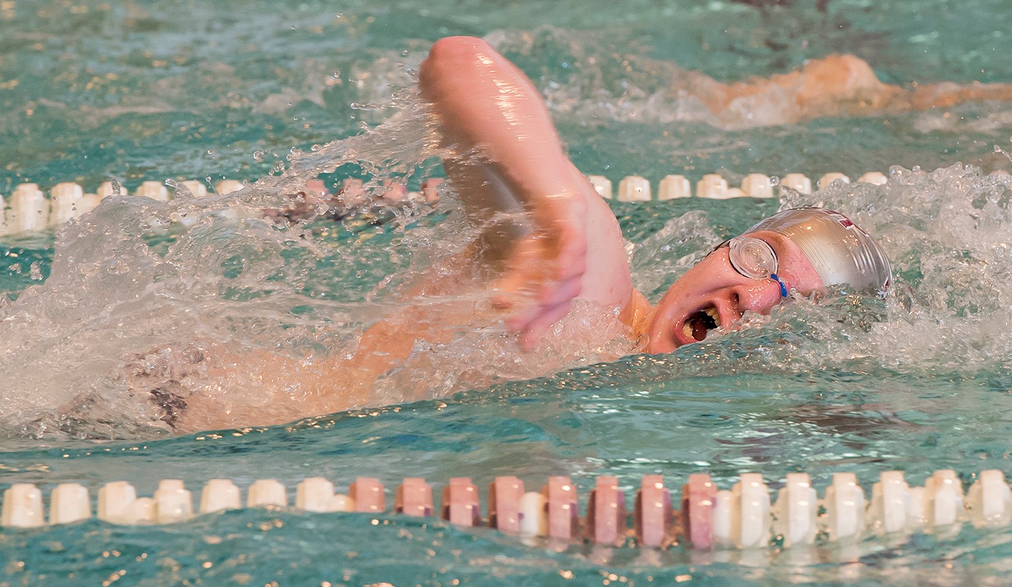 Alex May - 2015-16 - Men's Swimming and Diving - Vassar College Athletics
