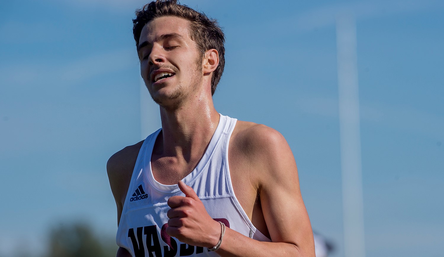 Michael Scarlett - 2017 - Men's Cross Country - Vassar College Athletics