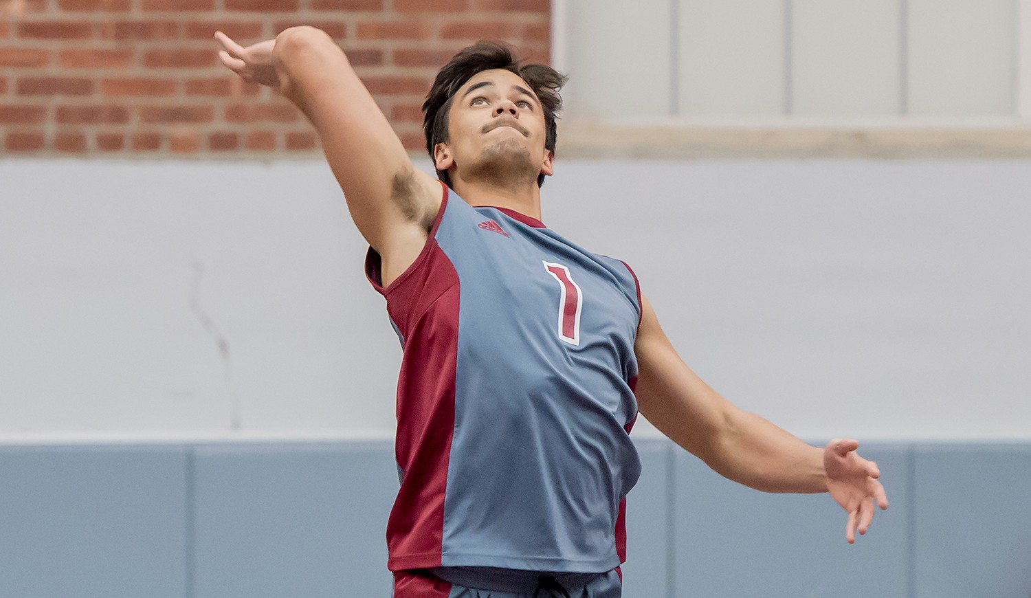 Quinn Rutledge - 2017 - Men's Volleyball - Vassar College Athletics