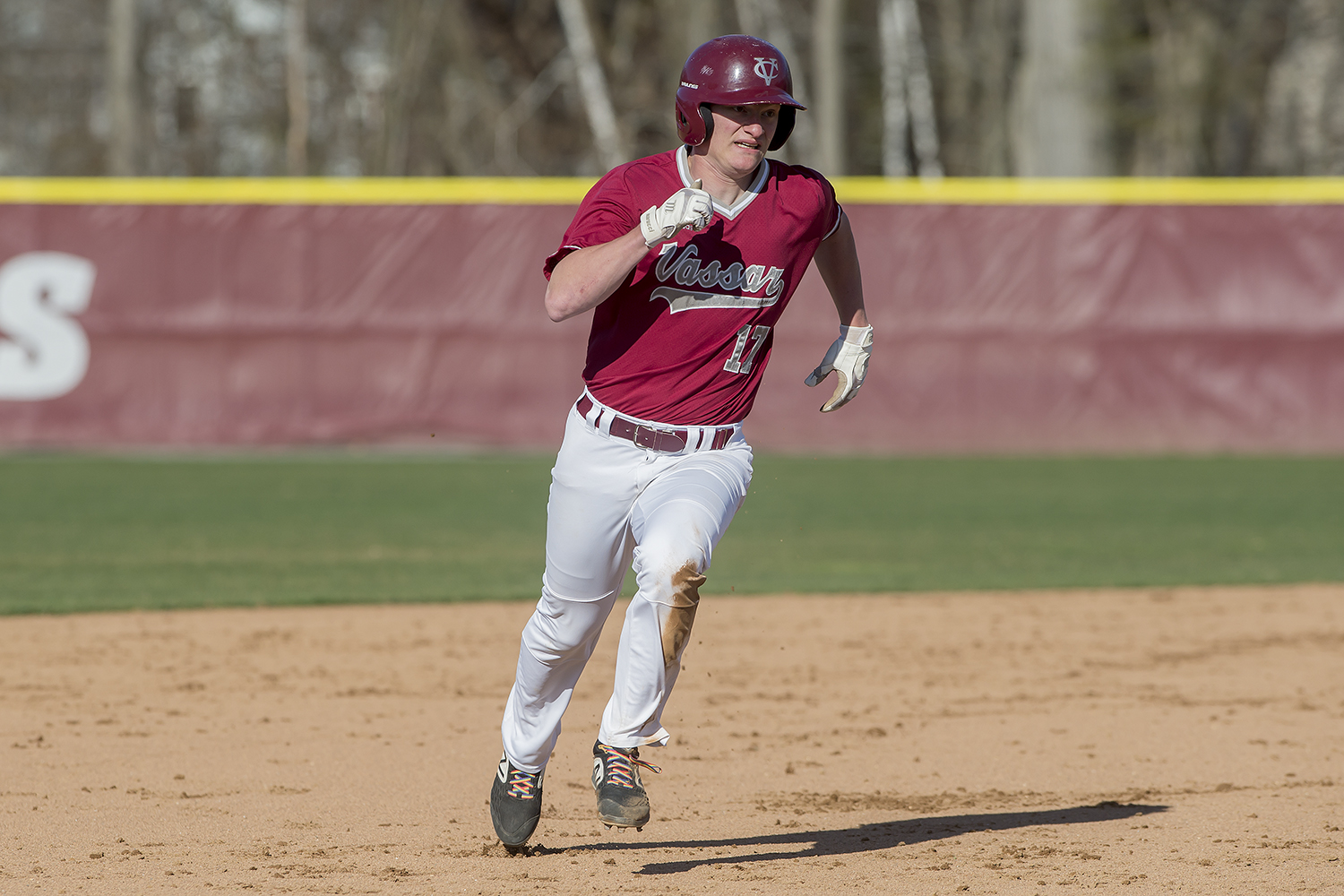 Jason Salerno - 2021 - Baseball - Vassar College Athletics