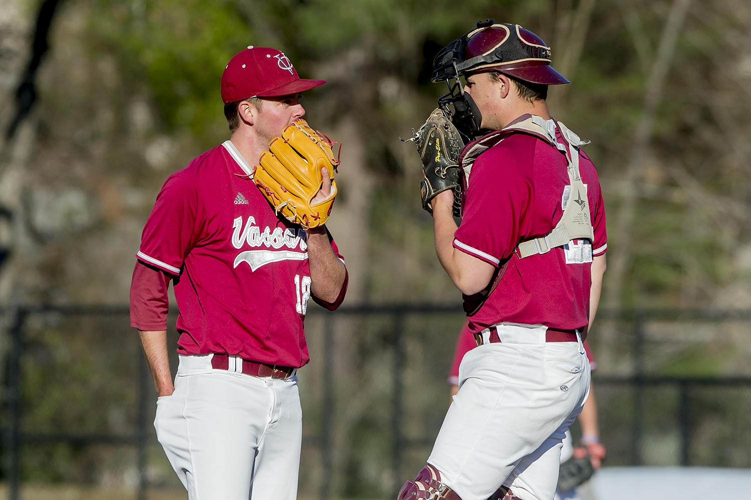 Elliott Layne - 2021 - Baseball - Vassar College Athletics