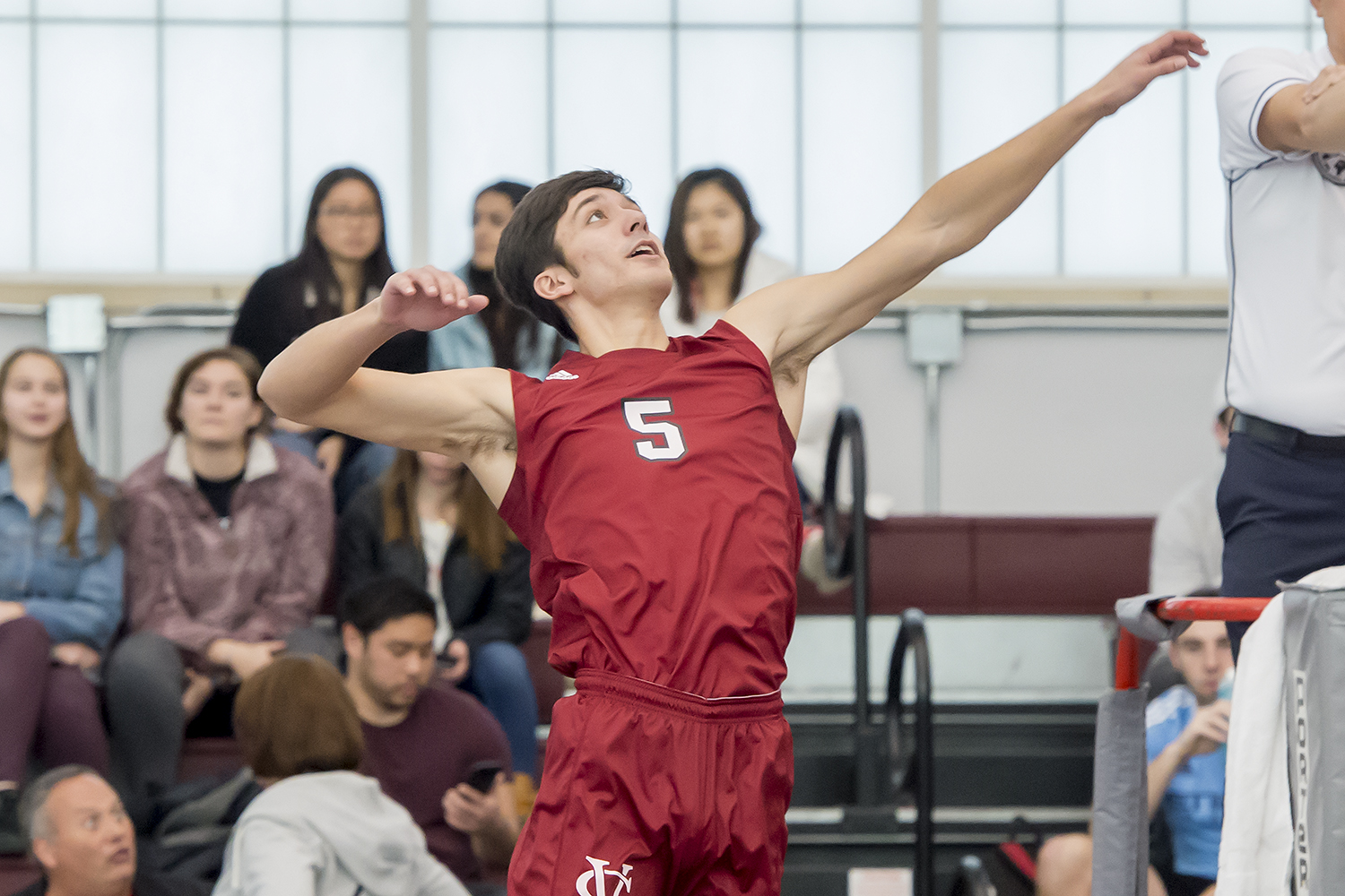 Andrew Halberg - 2022 - Men's Volleyball - Vassar College Athletics