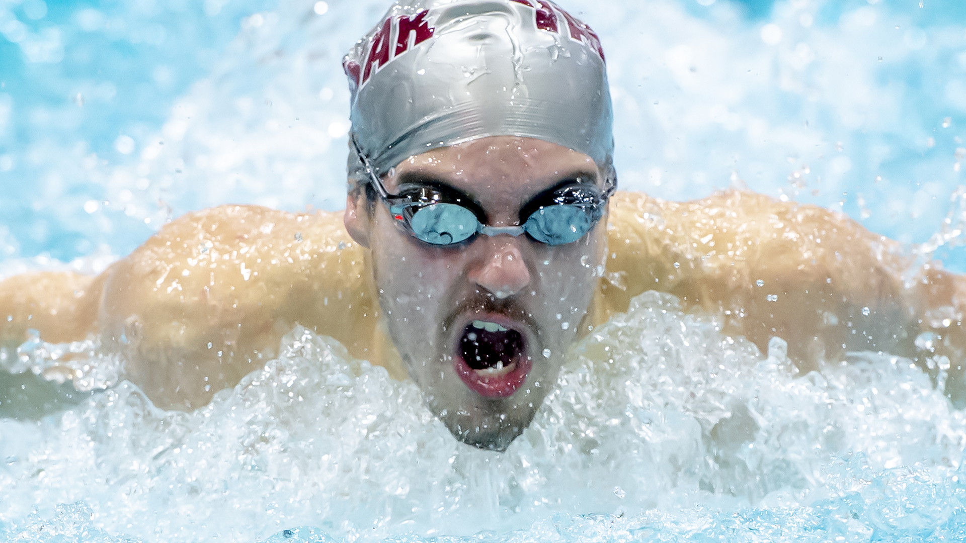 Nick D'Arrigo - 2021-22 - Men's Swimming and Diving - Vassar College ...