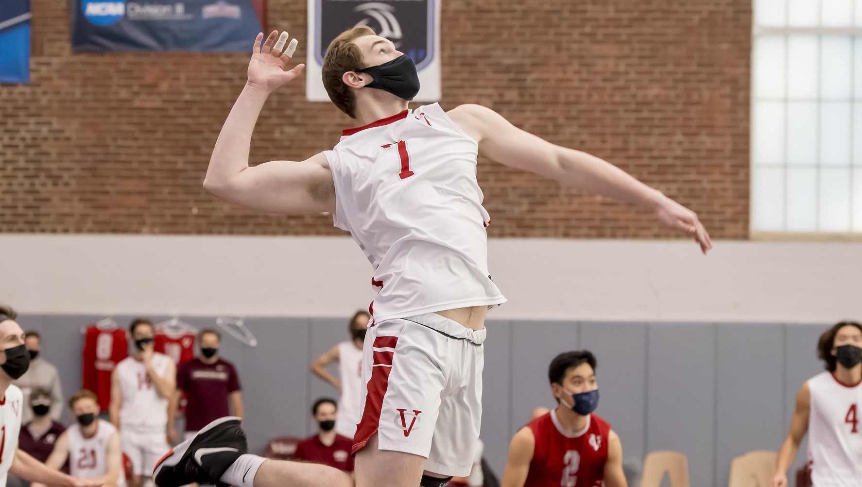 Adam Gulick - 2023 - Men's Volleyball - Vassar College Athletics