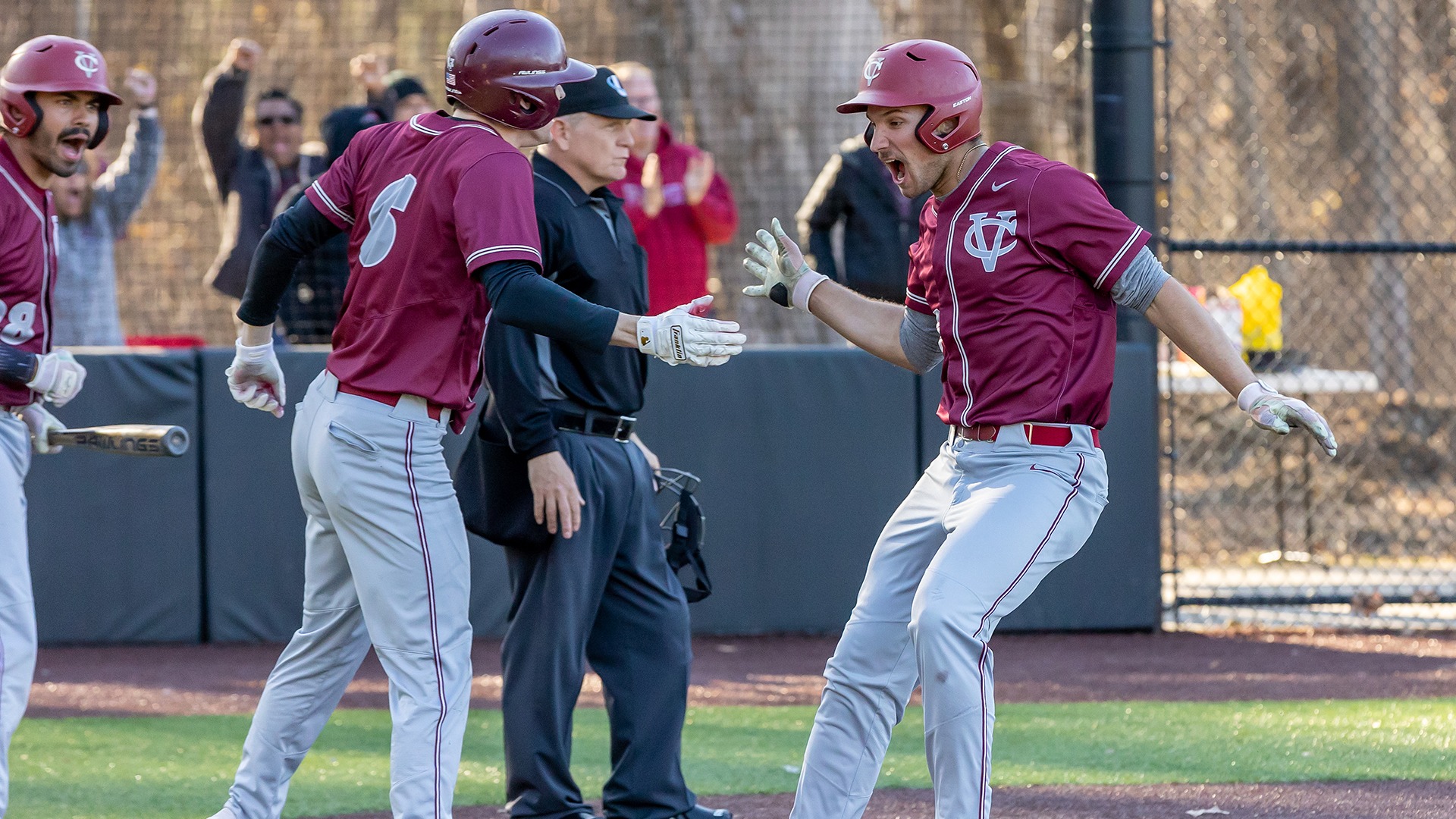 Baseball Drops Two To Skidmore - Vassar College Athletics