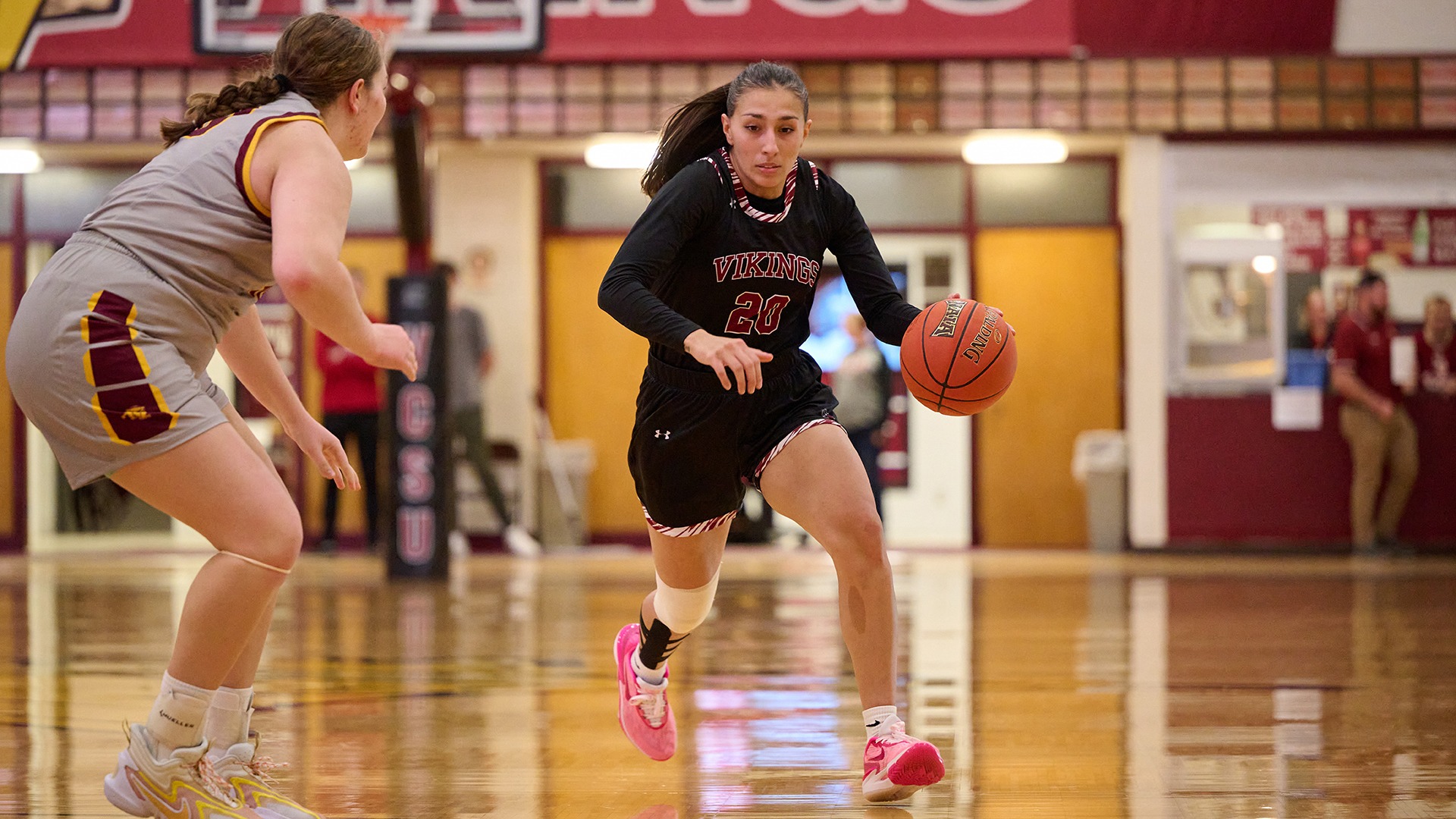 VCSU Women fall to No. 17 Providence Saturday - Valley City State ...