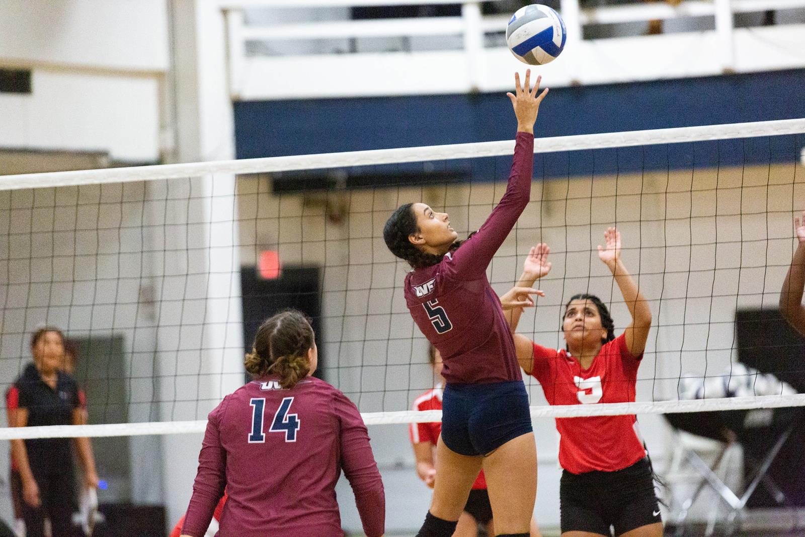 Alexandra Davila - 2019 - Women's Volleyball - University of Valley ...