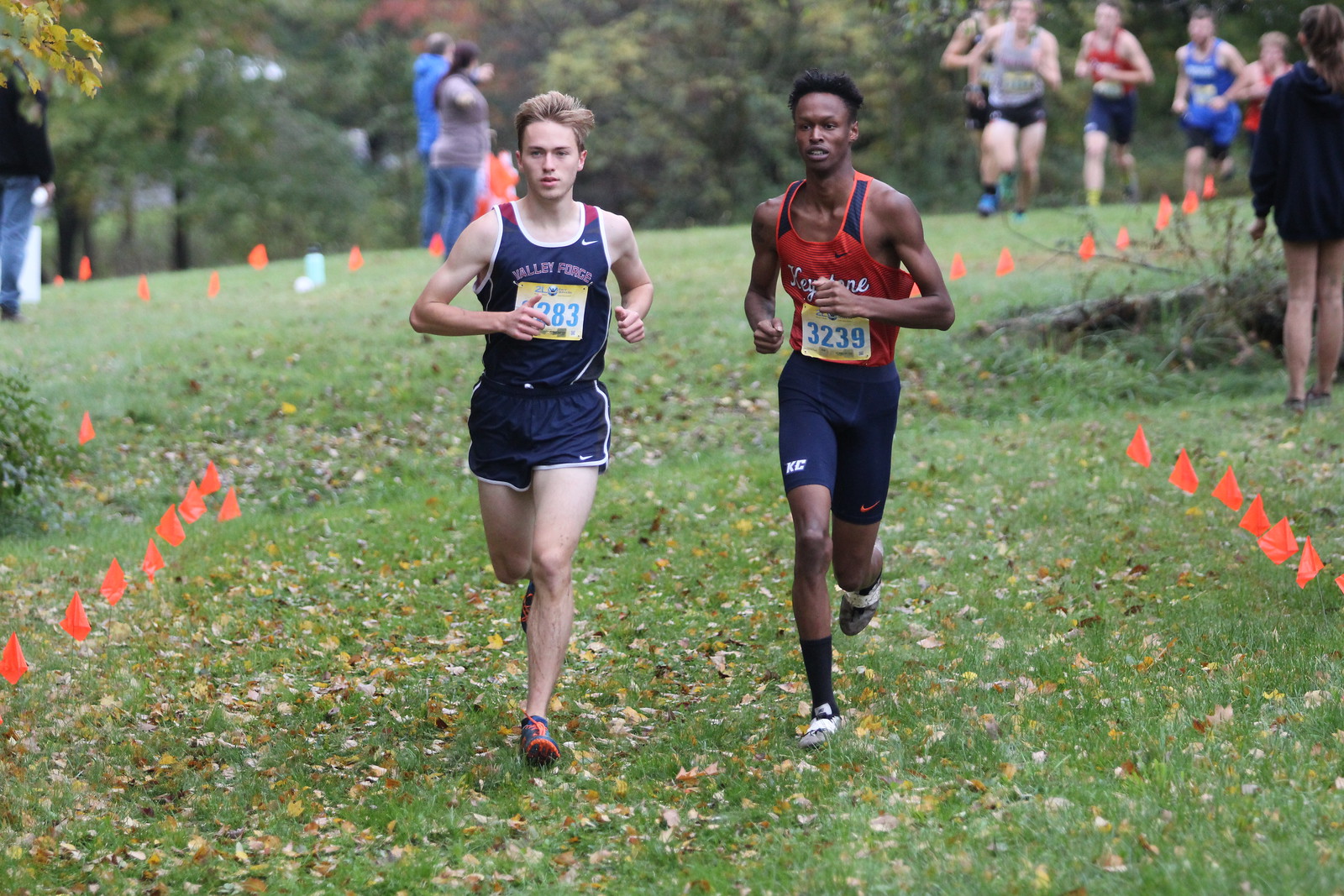 Isaac Gale - 2023 - Men's Cross Country - University of Valley Forge ...