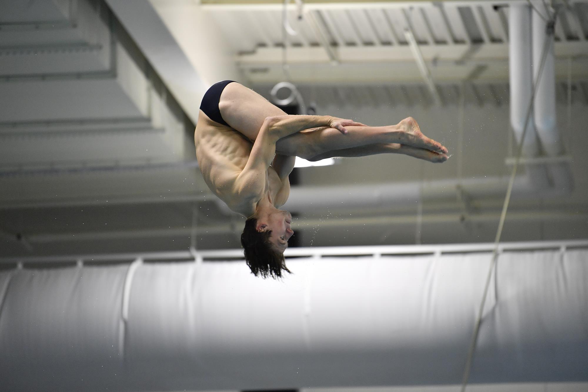 Michael Perra - Swimming & Diving - Villanova University