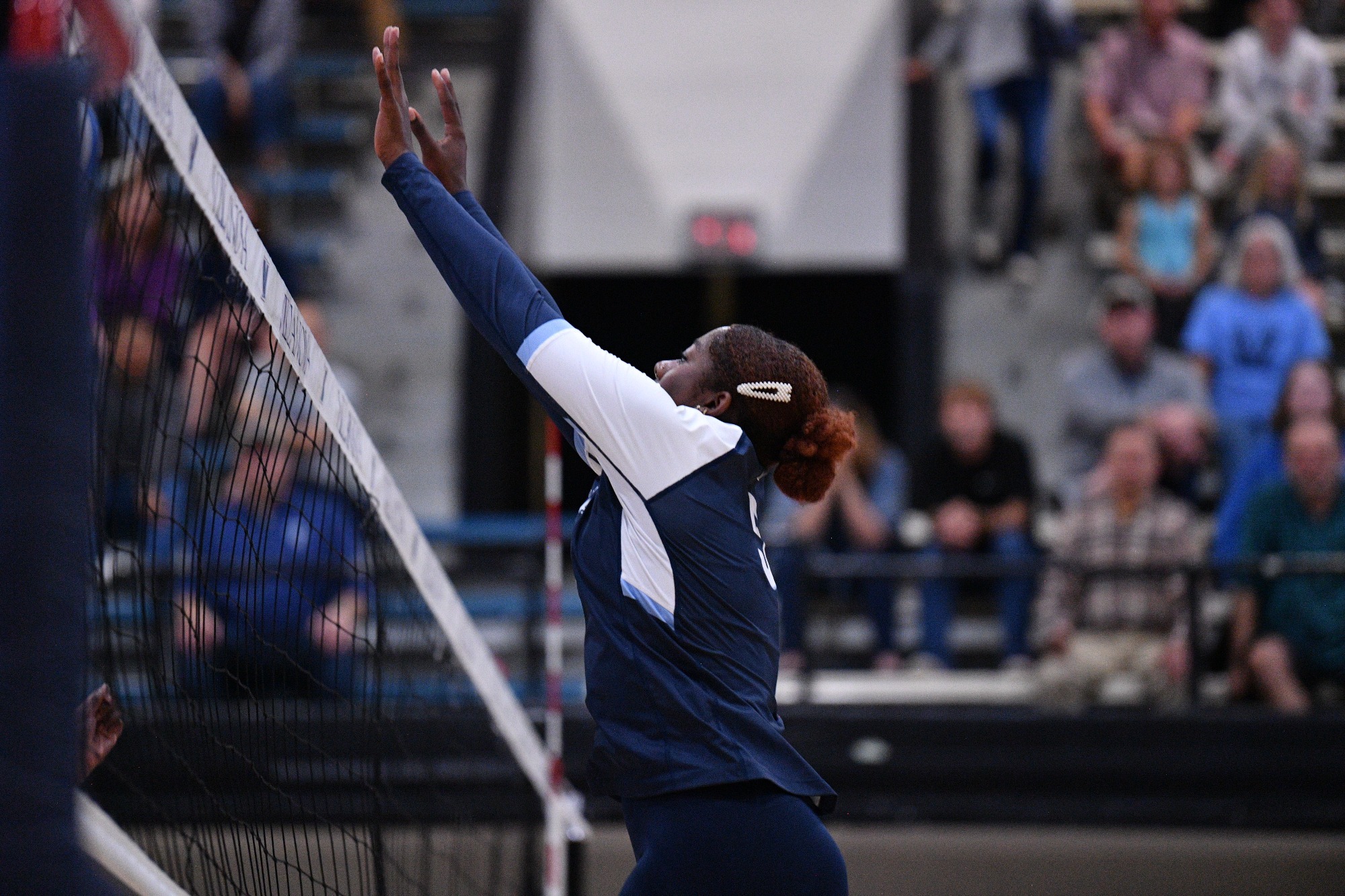 Tara Garvey - Women's Volleyball - Villanova University