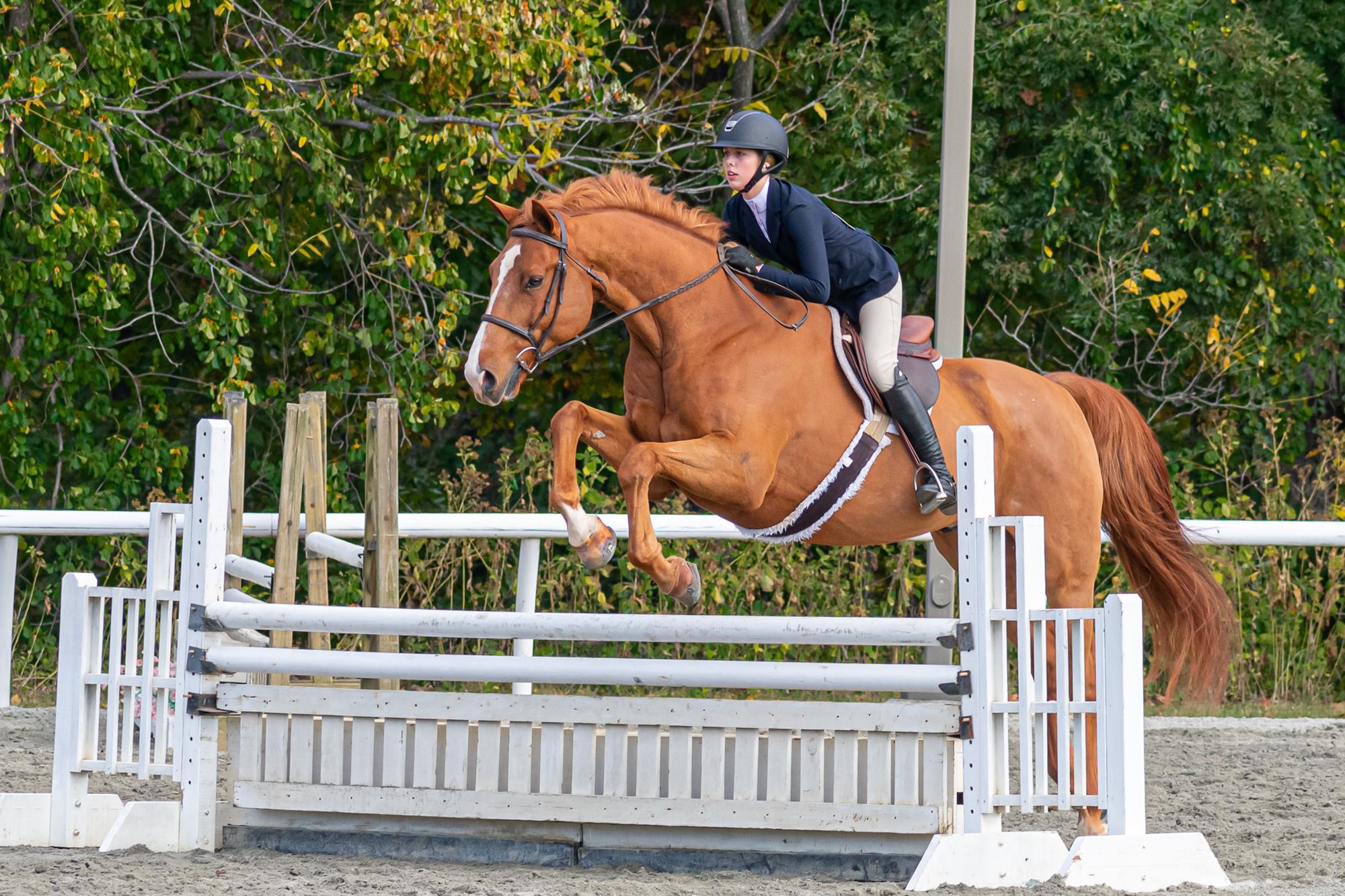 IHSA Ends Fall Season on High Note; Kerschl Qualifies for Regionals ...