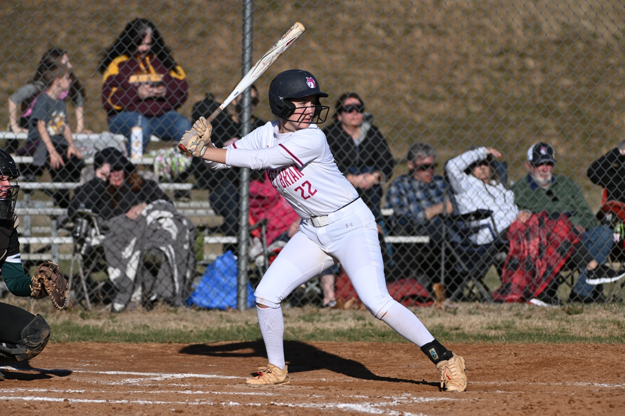 Softball Nabs Program’s First Wins Over Methodist - Sweet Briar College
