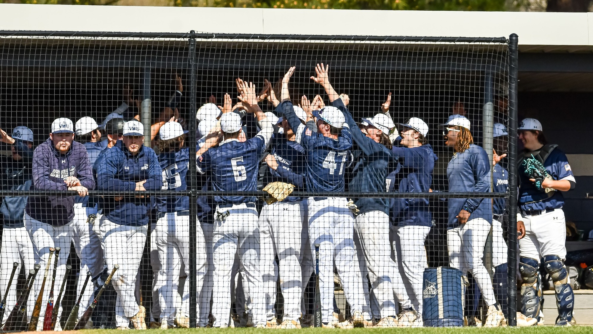 Baseball Beats Emory 7-6 in the Bottom of the Ninth - Virginia Wesleyan ...