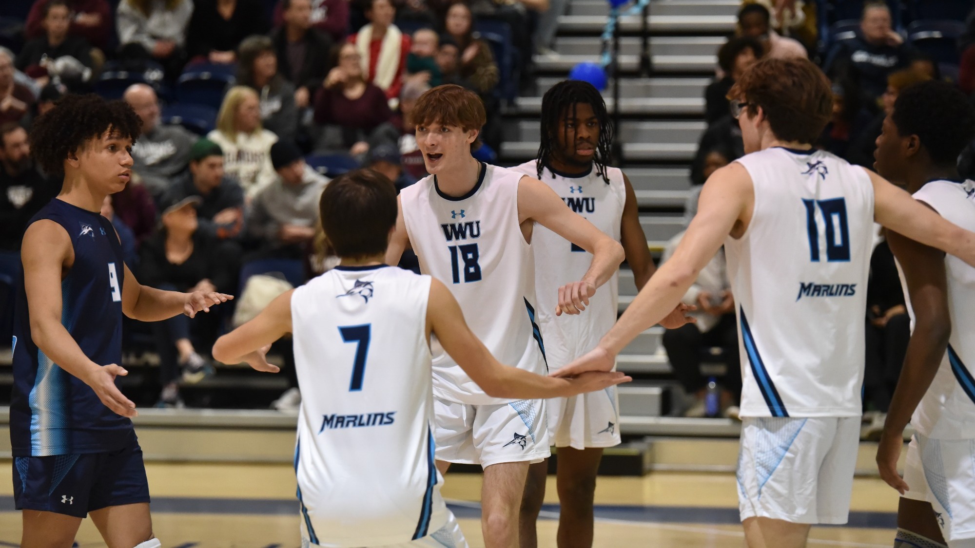 Men's Volleyball Defeated by Randolph-Macon 3-1 - Virginia Wesleyan ...