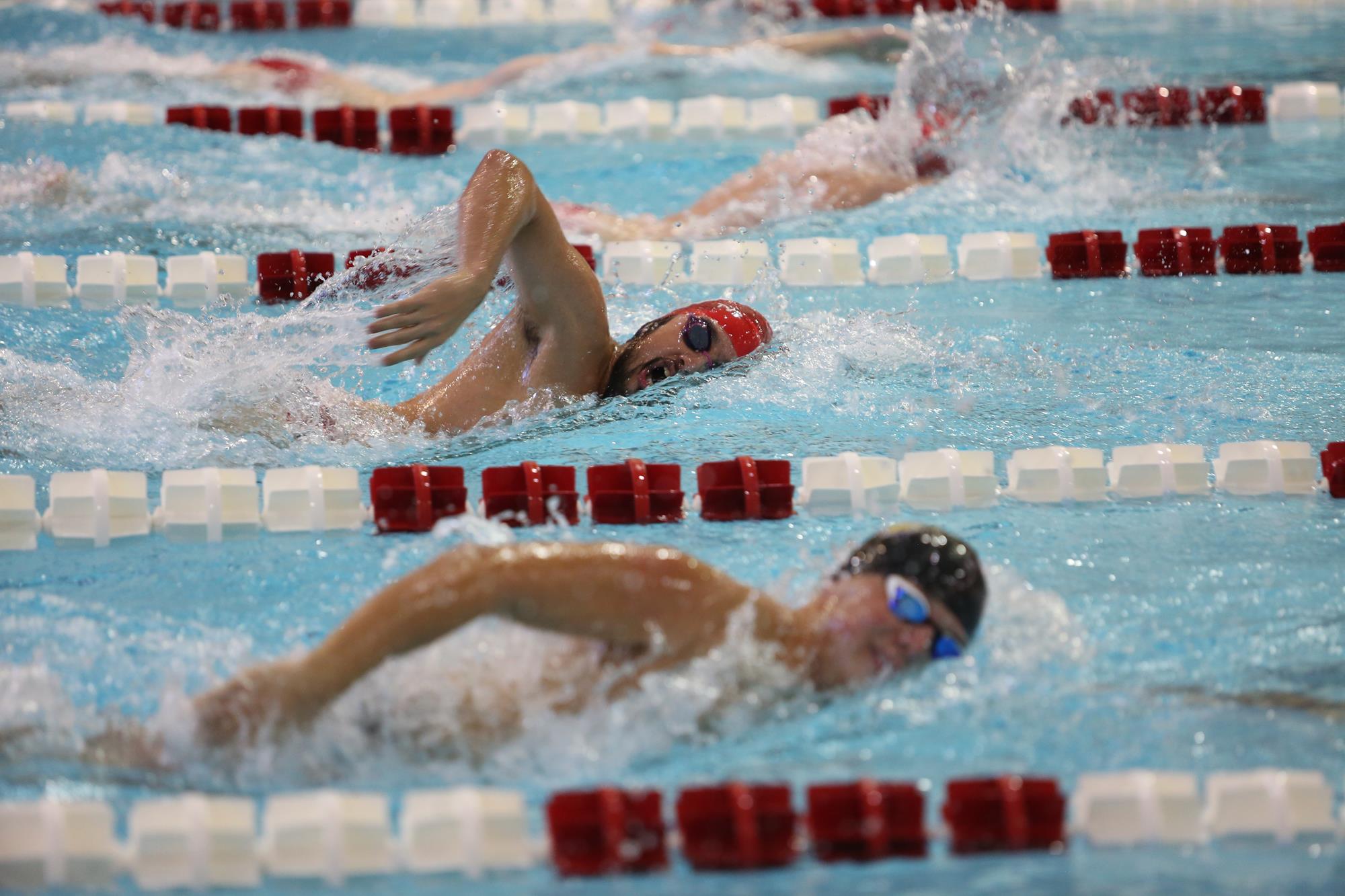 Chris Dabrowski - Swimming & Diving - Wabash College Athletics