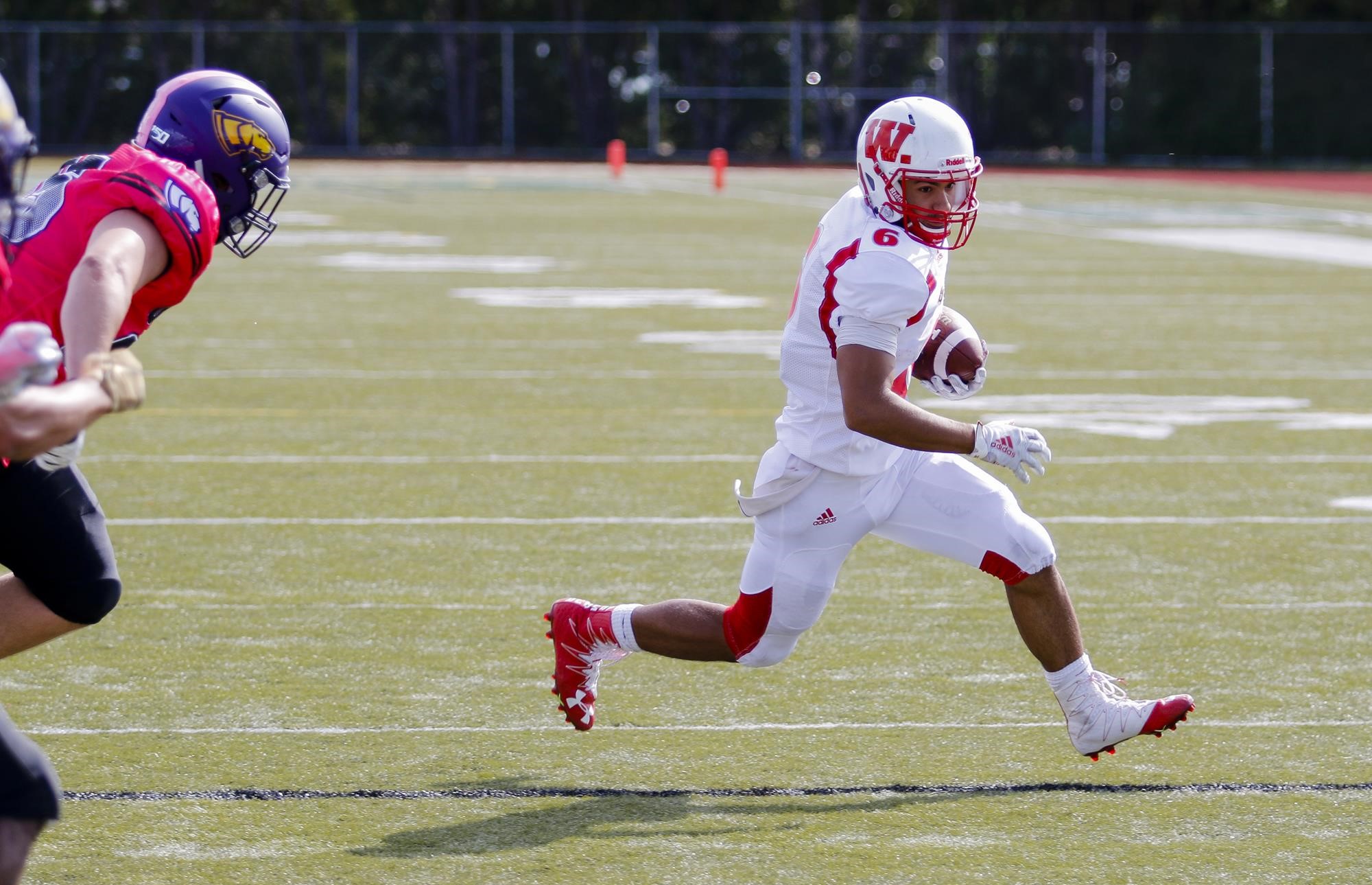 Ryan Zientara - Football - Wabash College Athletics