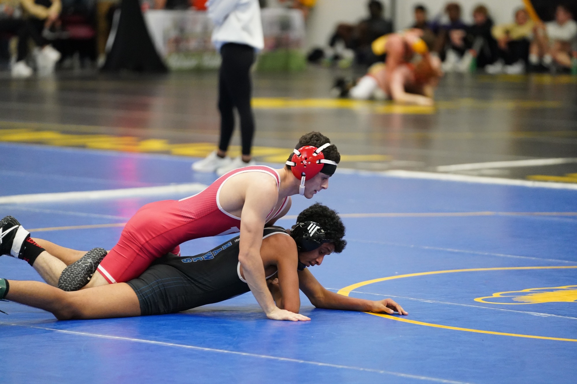 David Gelman - Wrestling - Wabash College Athletics