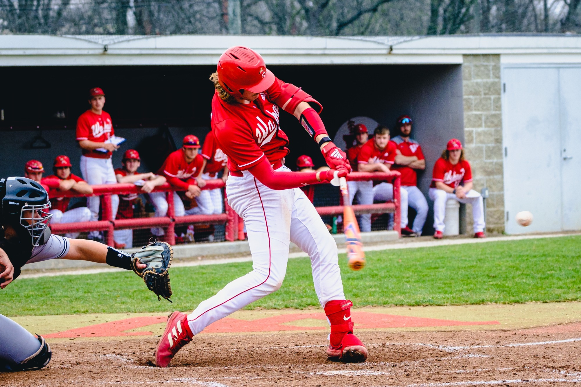 Liam Patton - Baseball - Wabash College Athletics